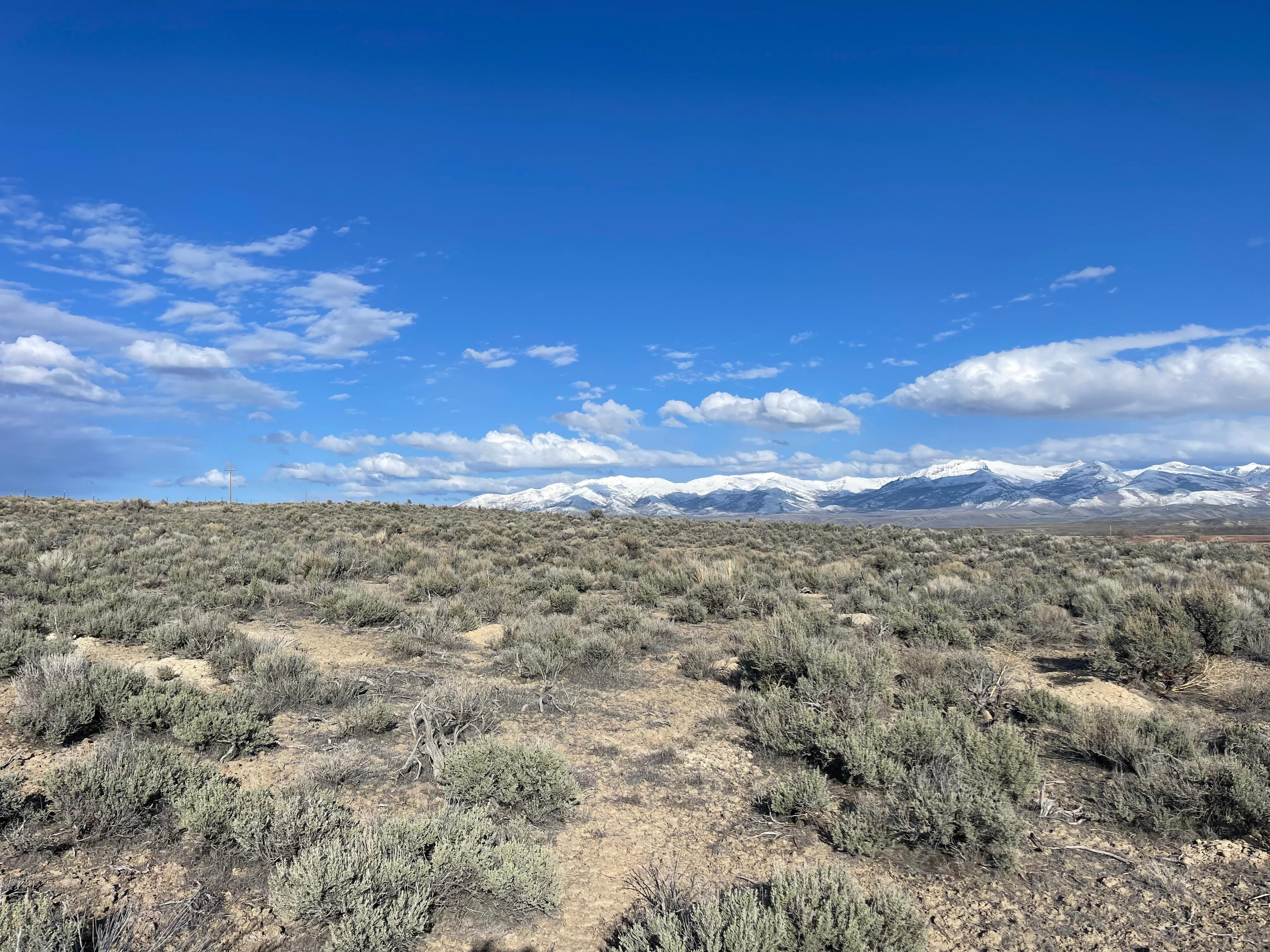 Scaup Ave, Deeth, NV 89801 | Land.com