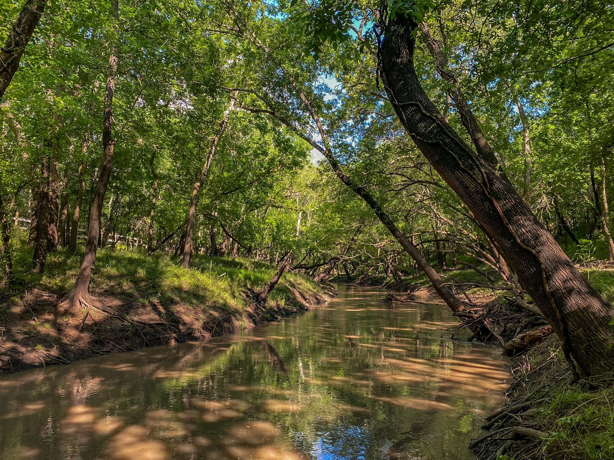 Patty Lane, Hungerford, TX 77488 | MLS: 65807661 | Land.com