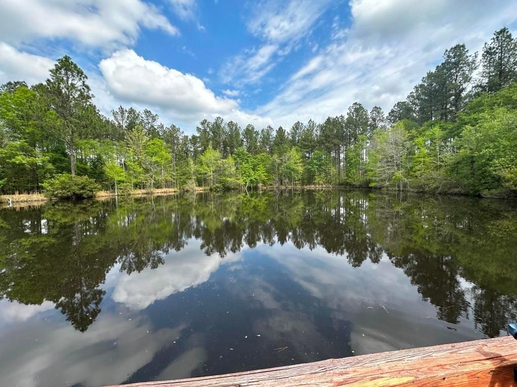 613 Rocky Knob Road, Sylvania, GA 30467 | MLS: 20178623 | Land.com