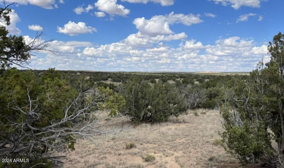 Lot 99 Woodland Valley Ranch --, Saint Johns, AZ 85936 | MLS: 6553269 ...