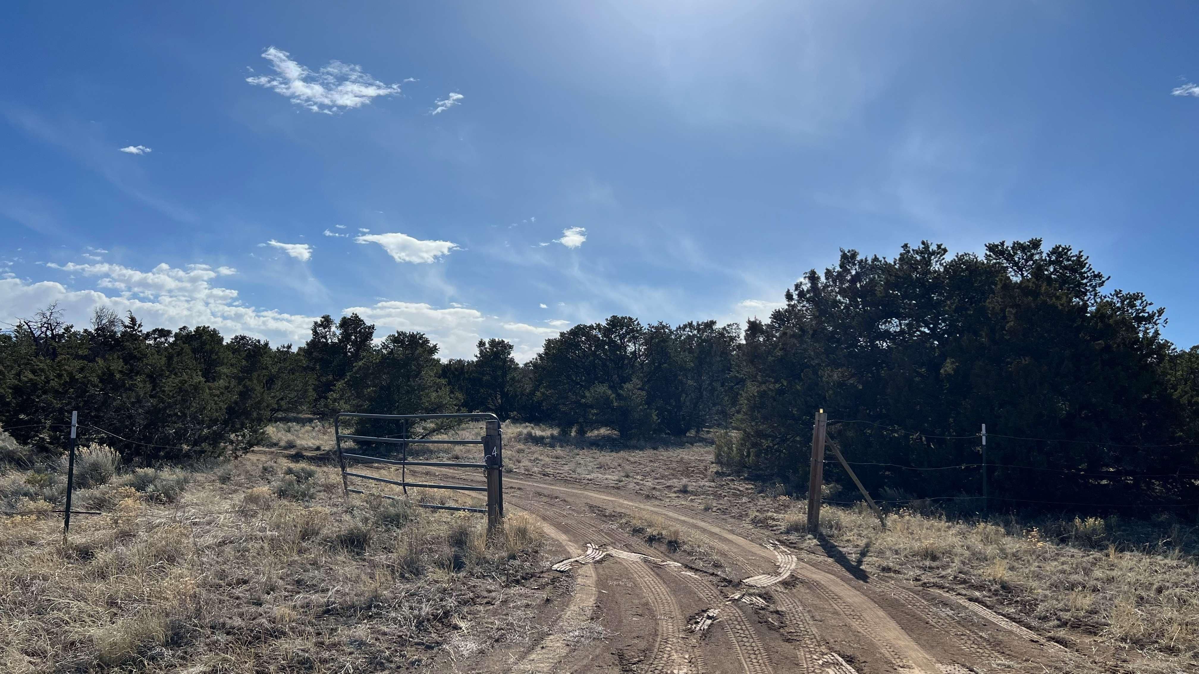 34 Dream Catcher, Fence Lake, NM 87315 | Land.com