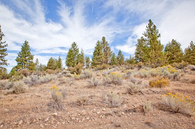1.9 acres in Klamath County, Oregon
