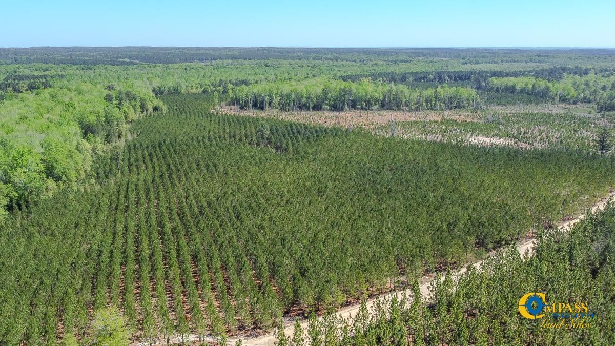 Old CC Road, Cassatt, SC 29032 | Land.com