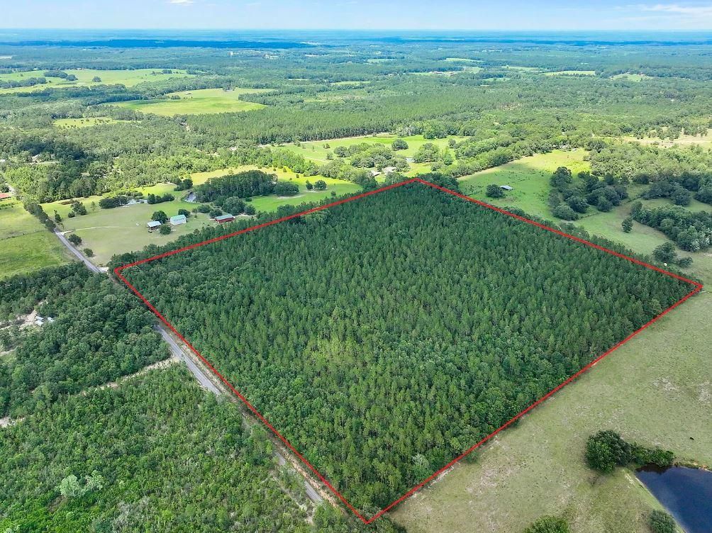 Schofield Rd, Defuniak Springs, FL 32433 | MLS: 750940 | Land.com