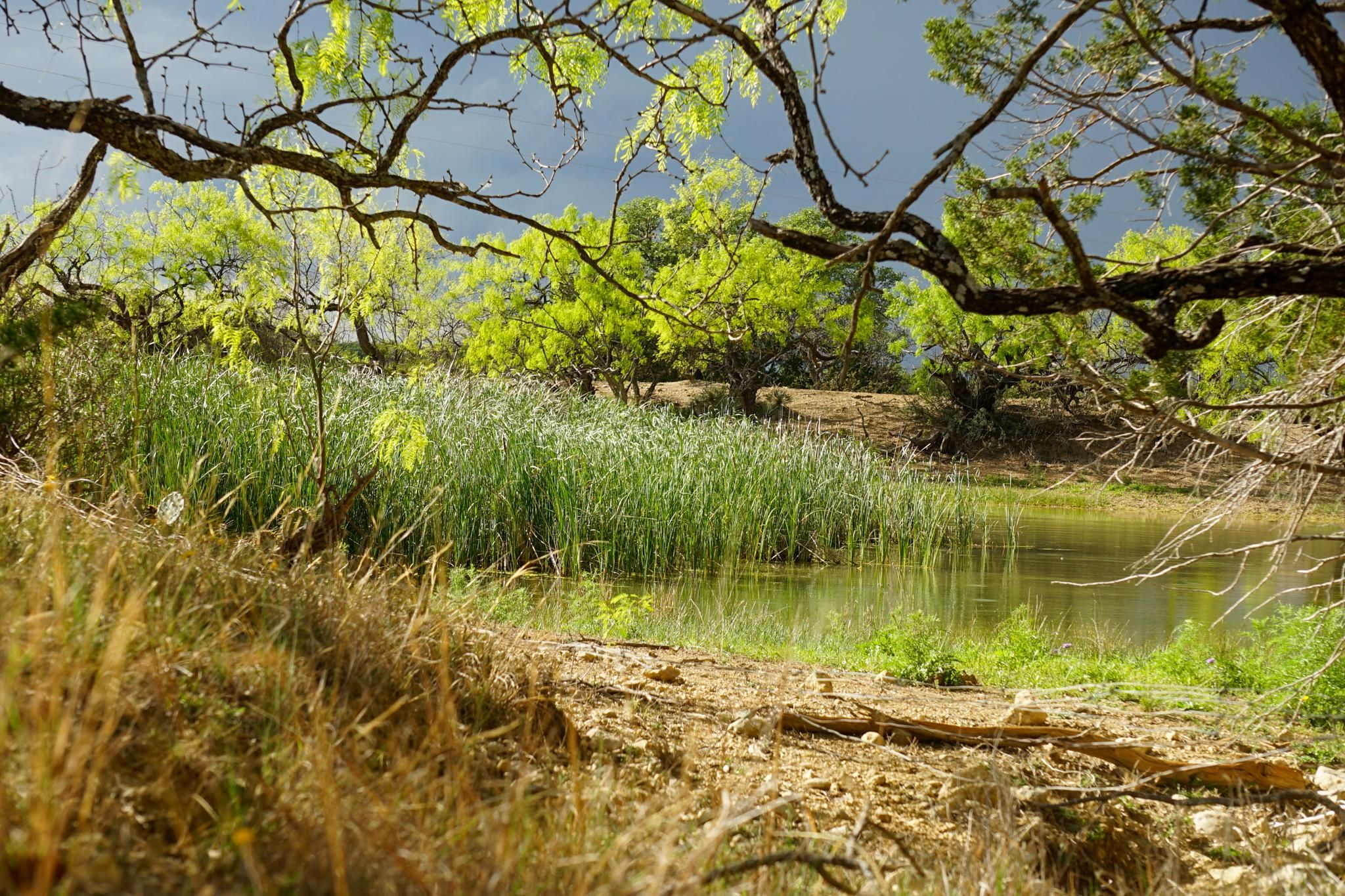 2050 W 17th St, Brady, TX 76825 | MLS: Exceptional Brady Ranch! | Land.com