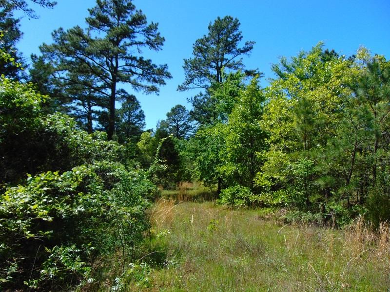 15.23 acres in Wister, OK, 74966 | Land.com