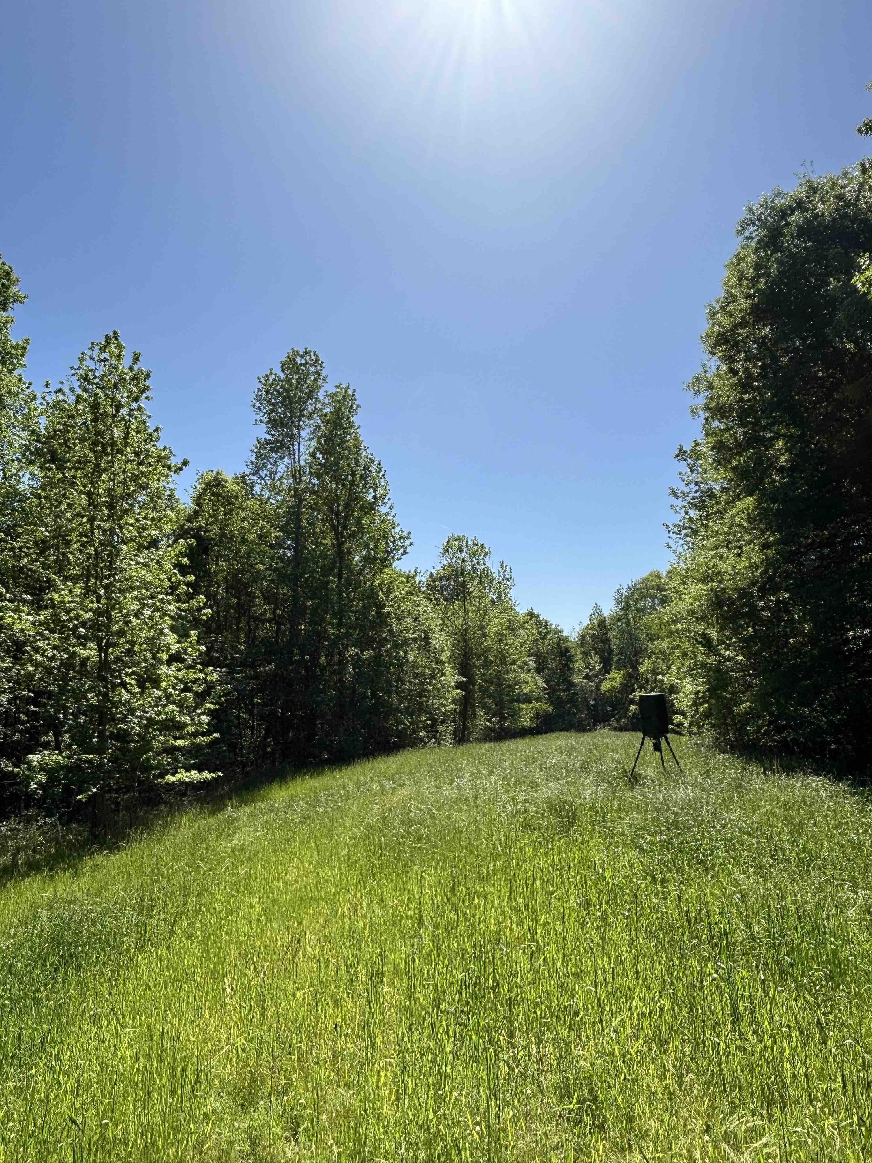 93 acres in Benton, MS, 39039 | MLS: CDR95Y | Land.com