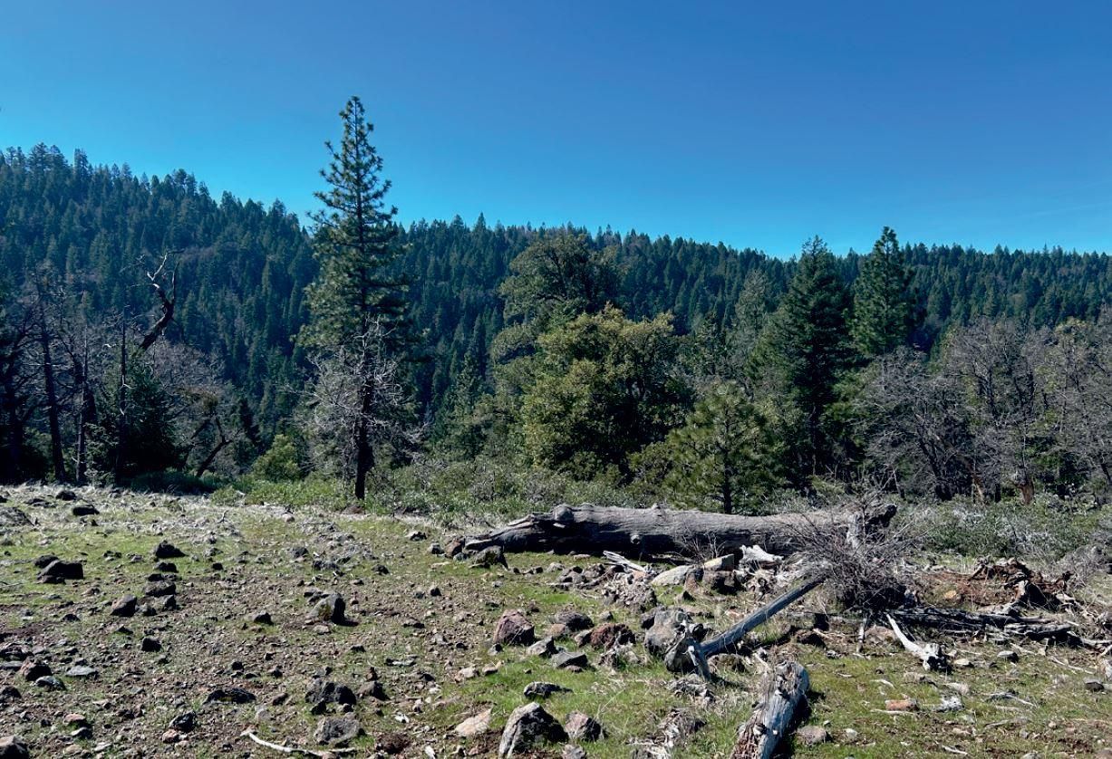 Randolph Canyon Road, Pollock Pines, CA 95726 | Land.com