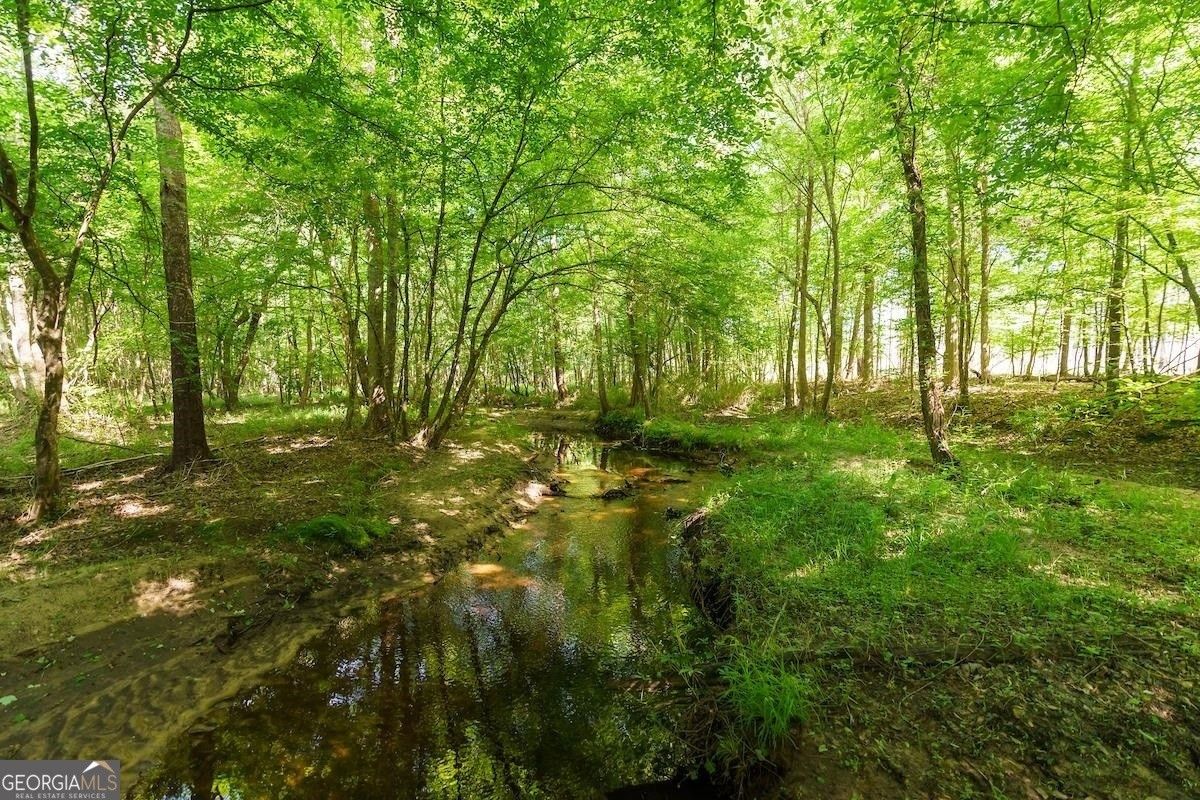 6053 Sunhill Grange Rd., Davisboro, GA 31018 | MLS: 20178007 | Land.com