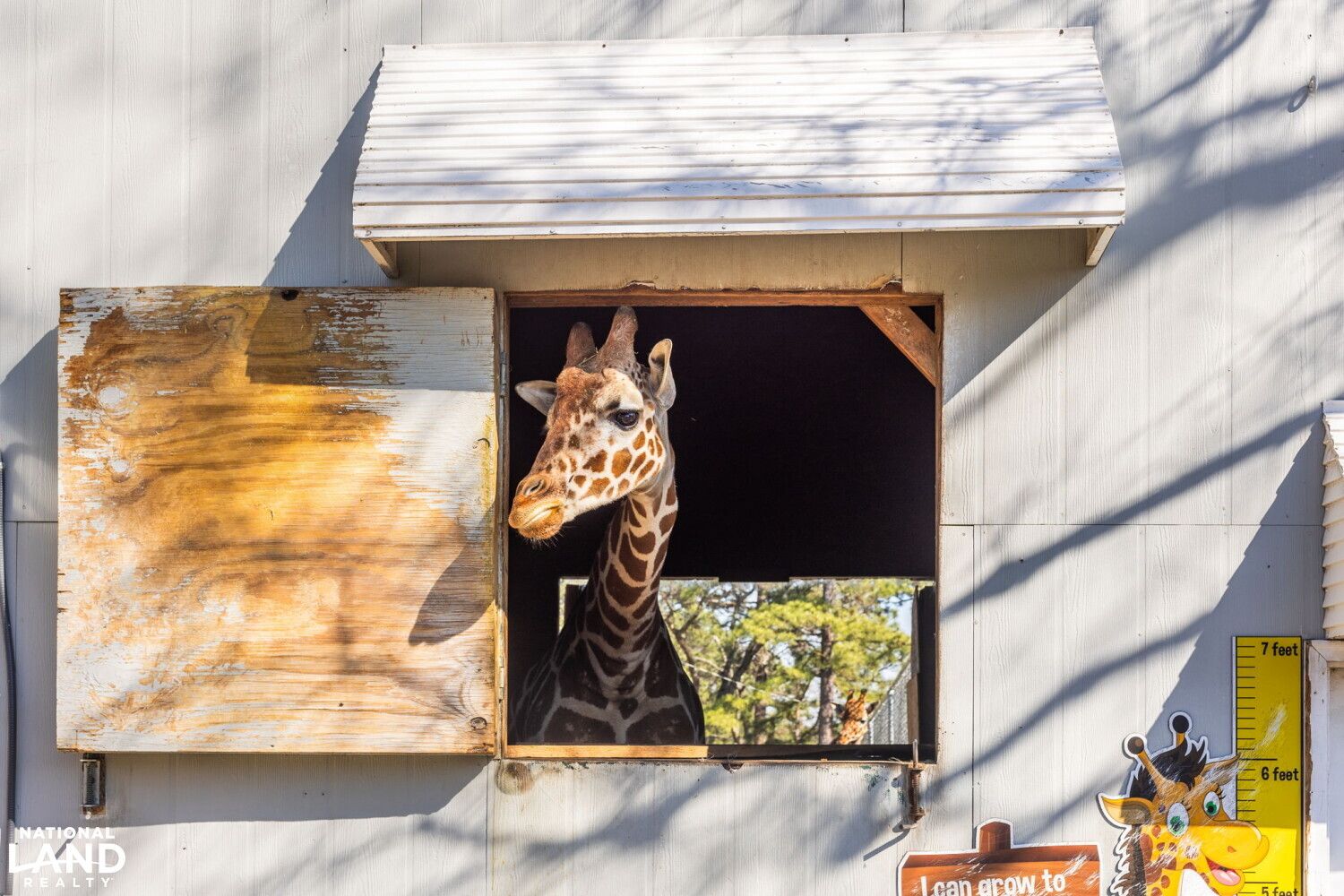 159 Mini Lane, Cameron, NC 28326 | Land.com