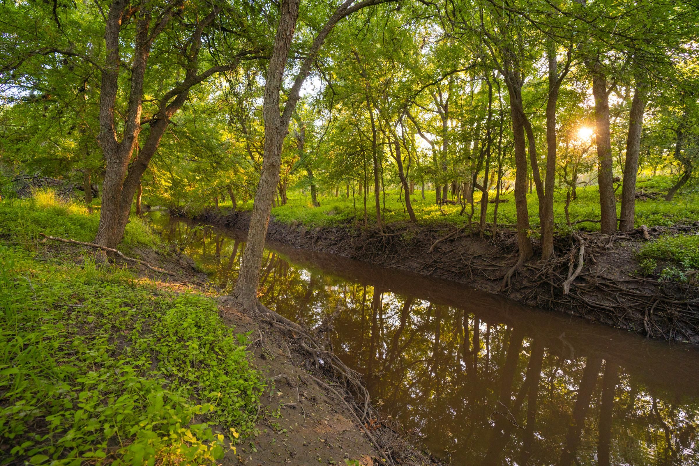 187 acres in Three Rivers, TX, 78071 | Land.com