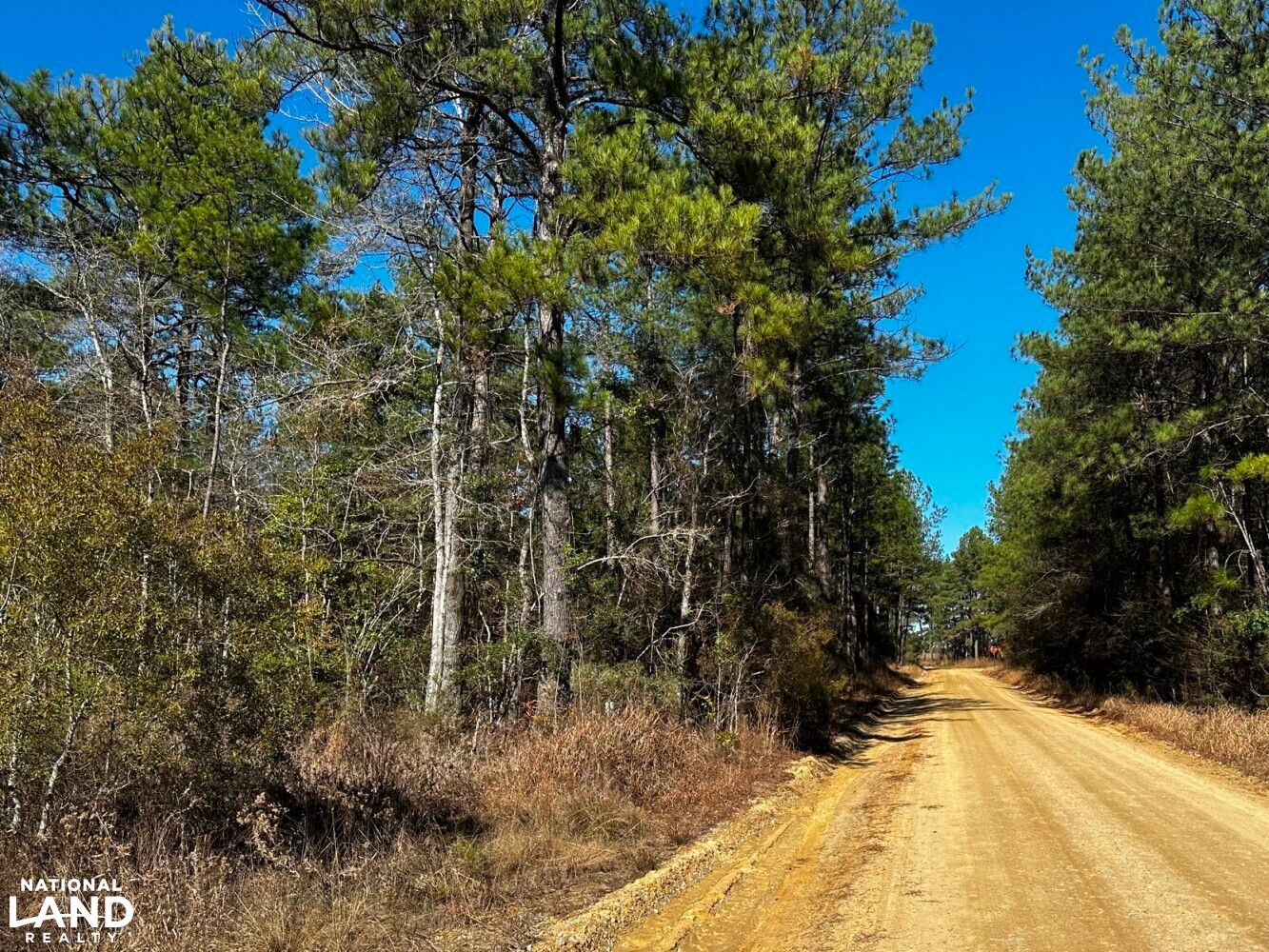 00 Grapevine Road, Brooklyn, MS 39425 | Land.com