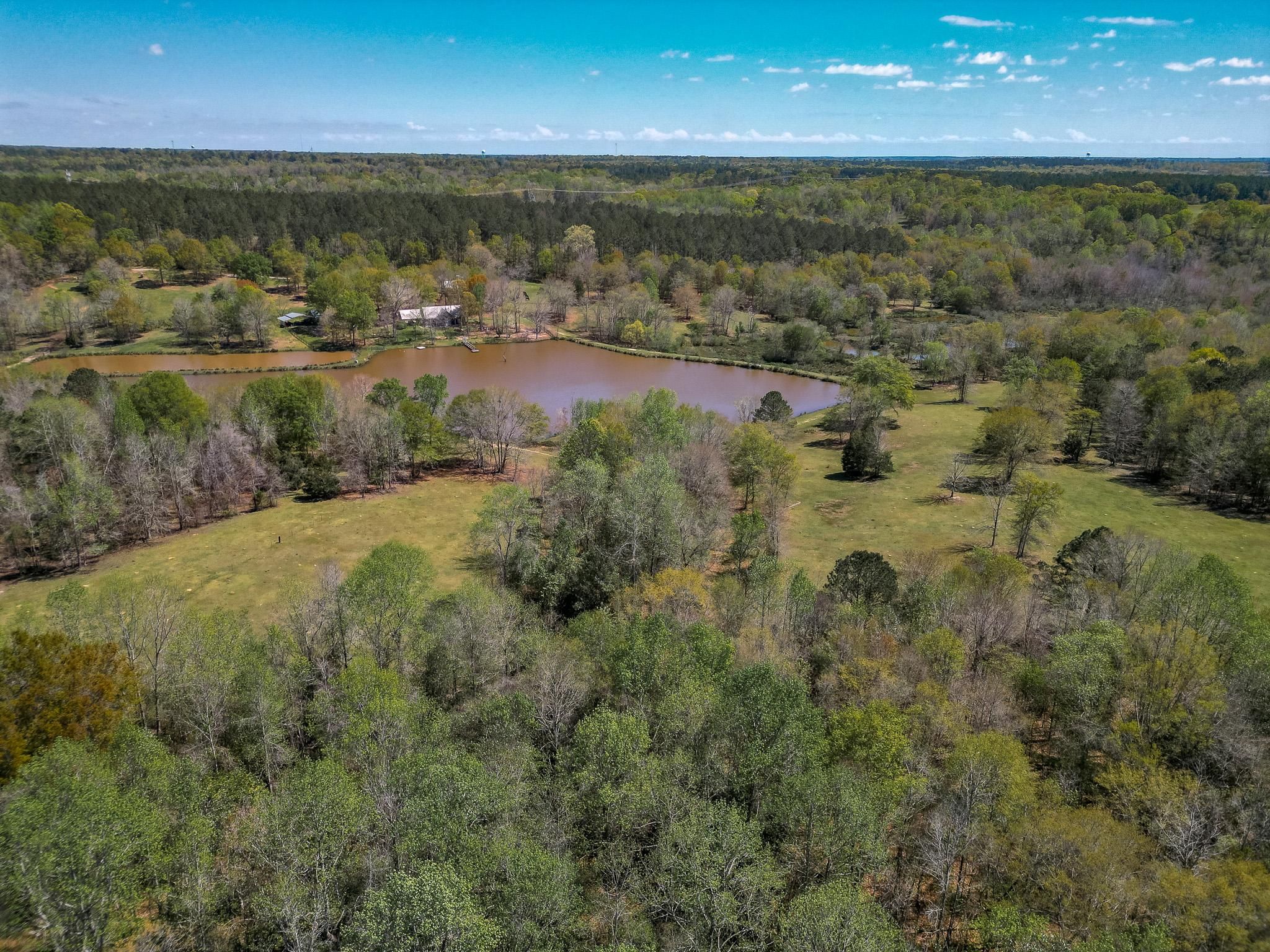 Chancey Drive, Ellaville, GA 31803 | Land.com