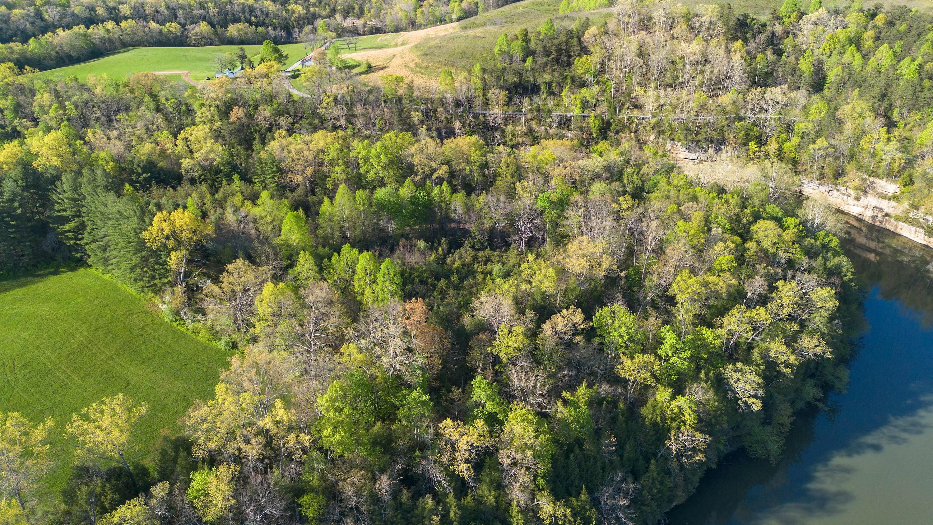 Clyde Dickerson Rd, Sandy Hook, KY 41164 | MLS: 56579 | Land.com