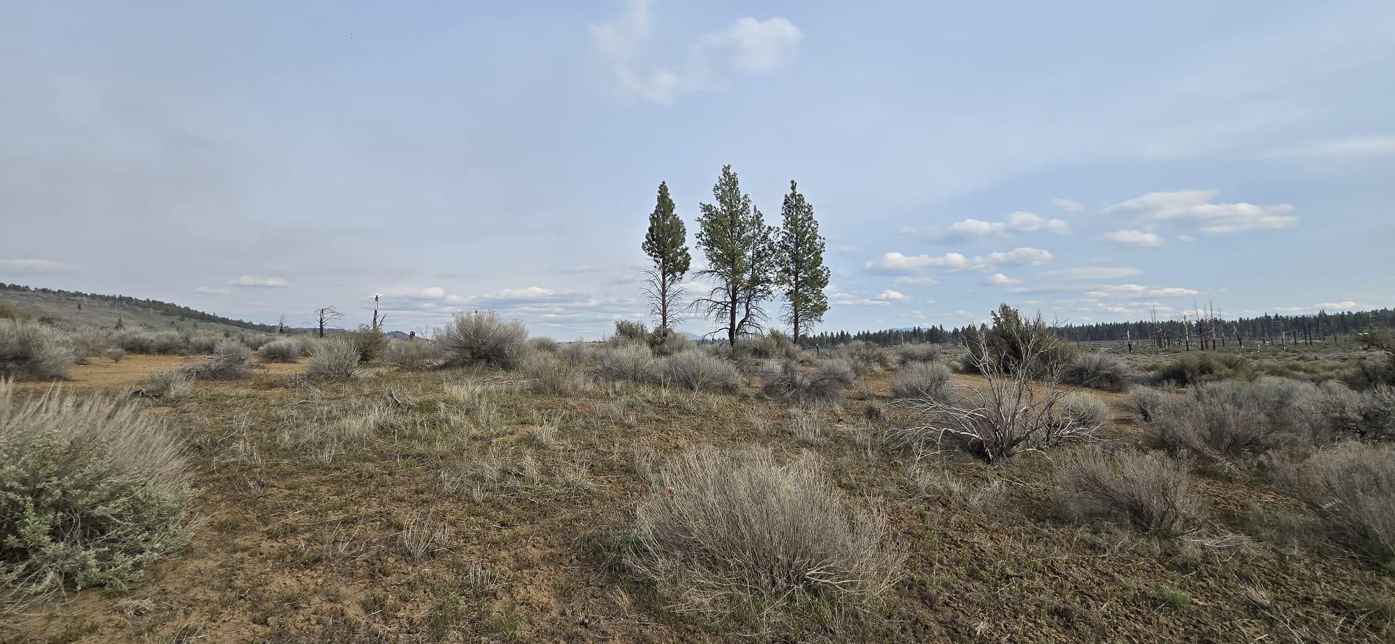 Steelhead Lane, Chiloquin, OR 97624 | Land.com
