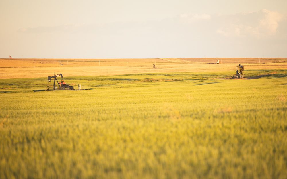158 acres in Ness County, Kansas