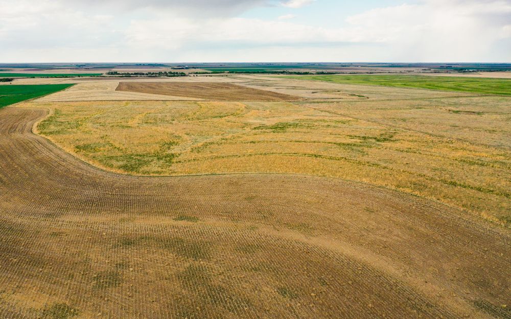 156 acres in Ness County, Kansas