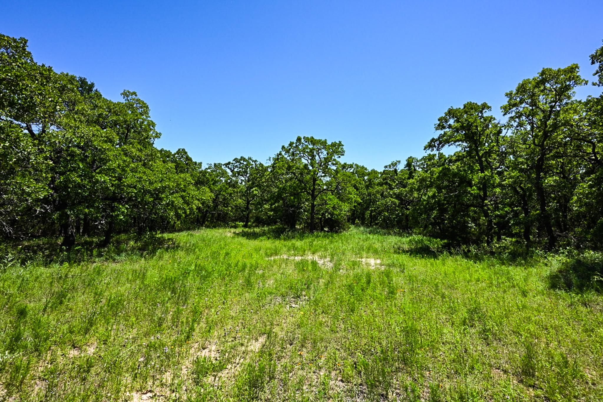 Dps Tower Road, Perrin, TX 76486 | MLS: 20405502 | Land.com