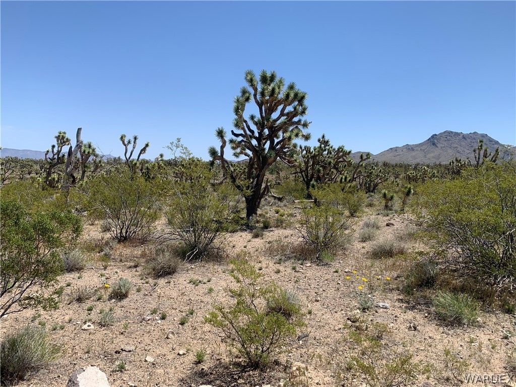 0000 MT LOCO Drive, Dolan Springs, AZ 86441 | MLS: 013391 | Land.com