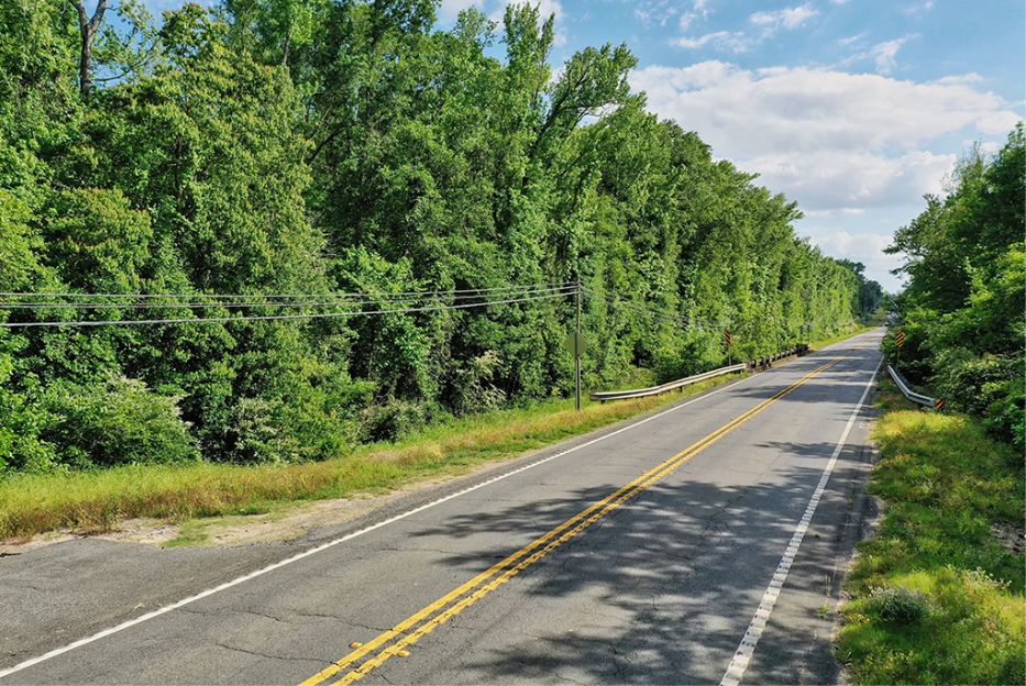 141.8 acres in Taylor County, Georgia