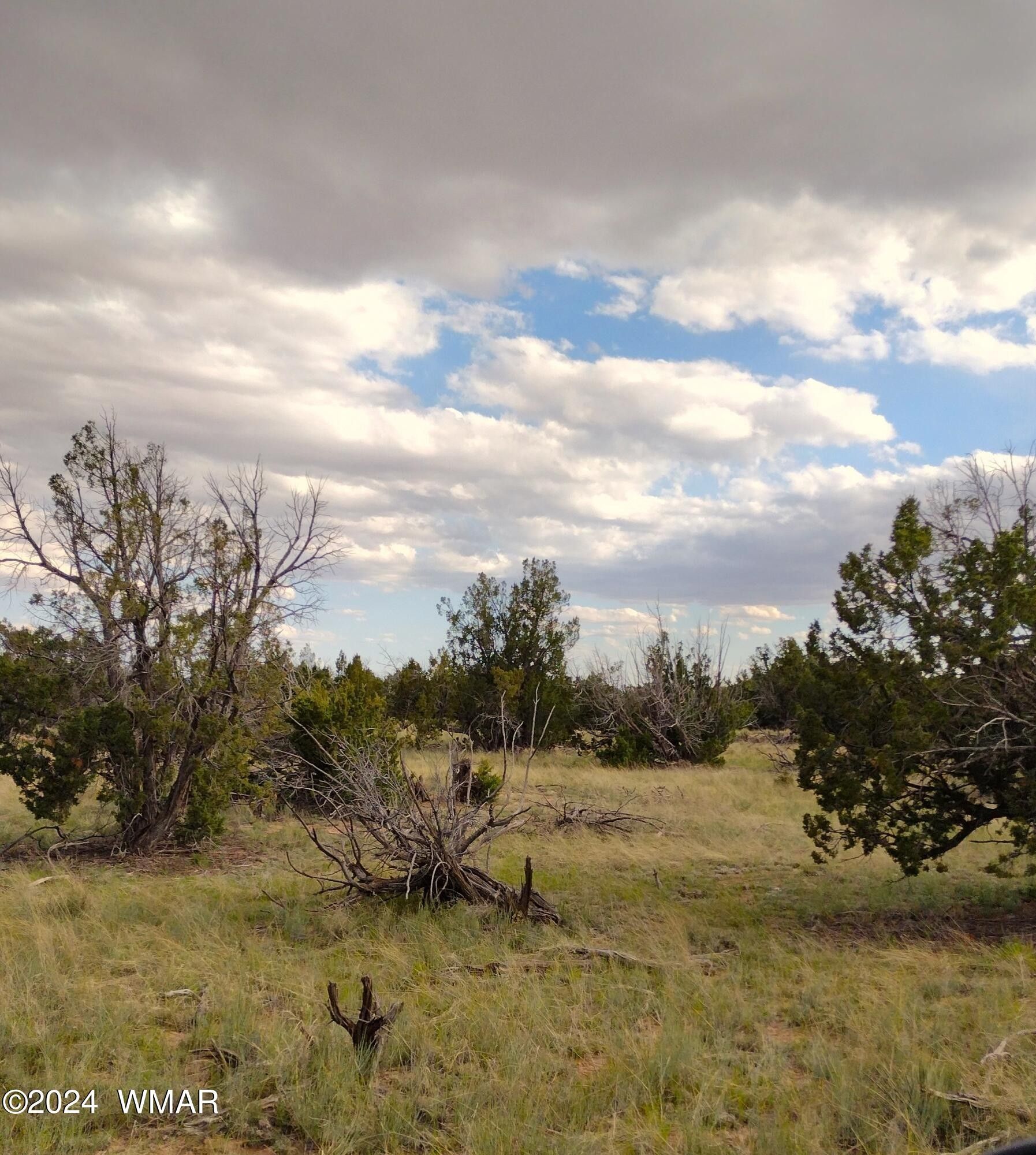 Lot 94a Witch Well Ranches, Saint Johns, AZ 85936 | MLS: 250912 | Land.com