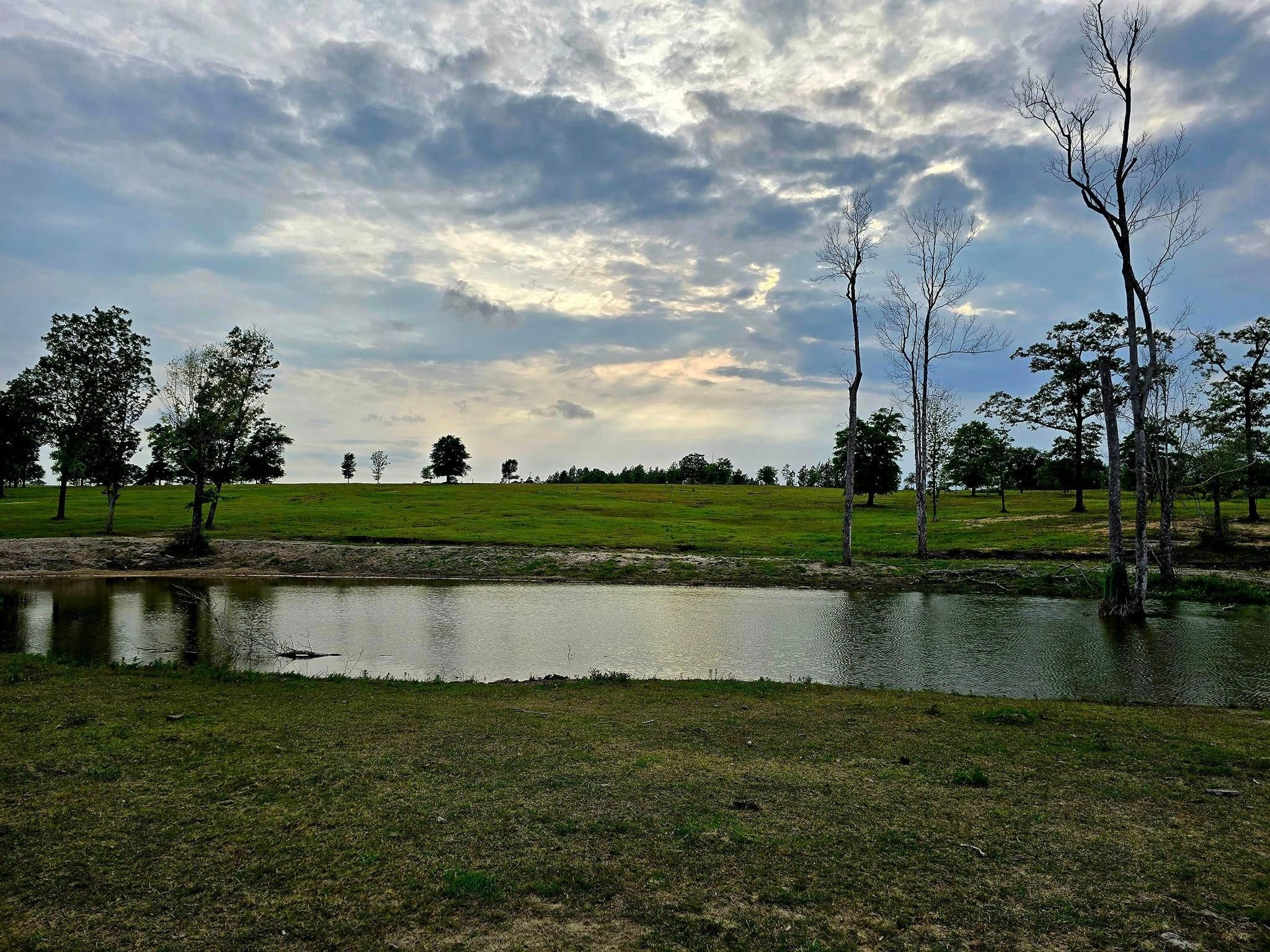 40 acres in Eight Mile, AL, 36613 | Land.com