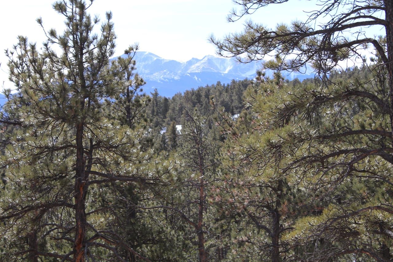 Lucky Lady Drive, Woodland Park, CO 80863 | Land.com