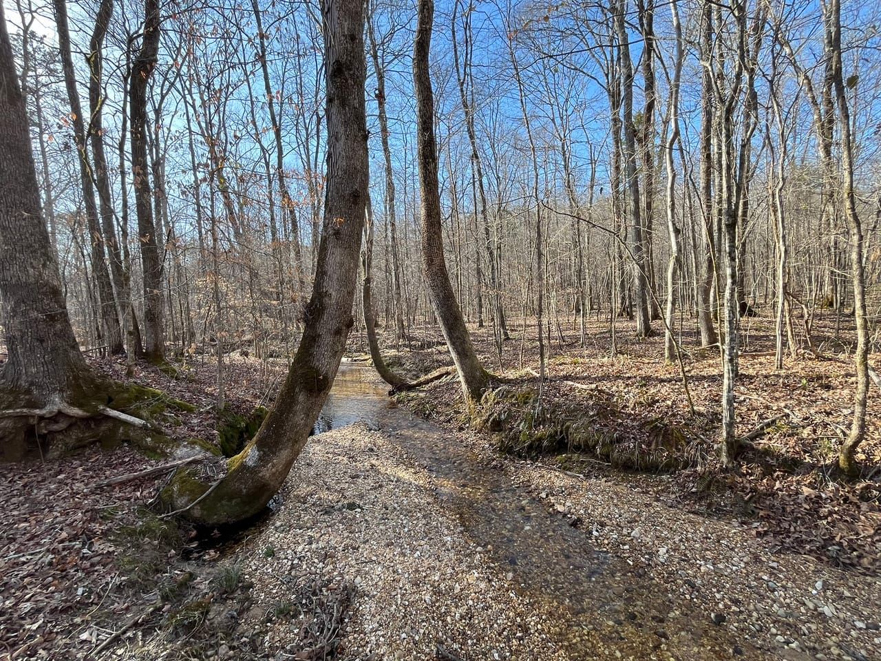 000 Hwy 247, Red Bay, AL 35582 | Land.com