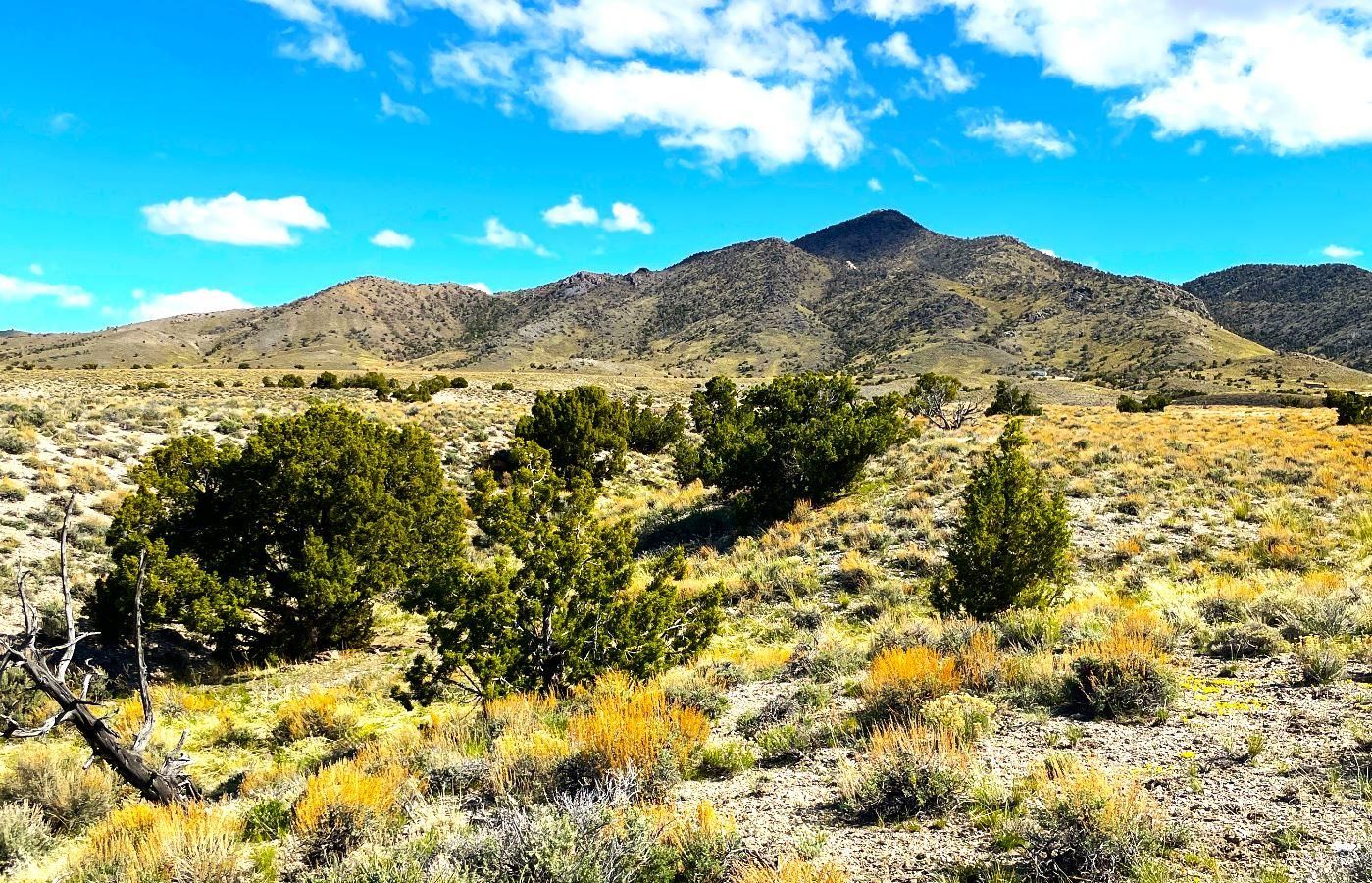 10 acres in Montello, NV, 89830 | MLS: 010-35L-009 | Land.com