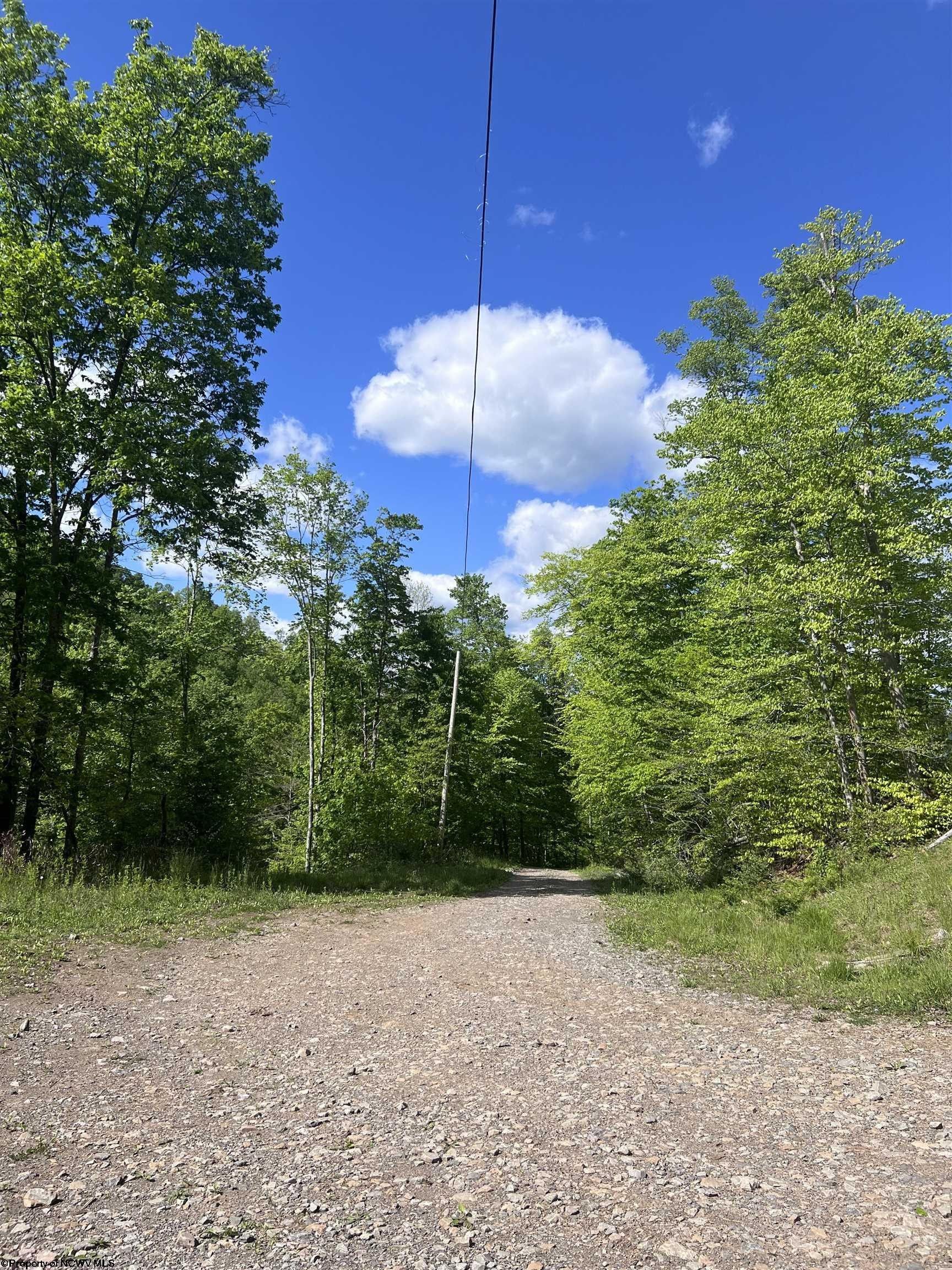 131.73 acres in Doddridge County, West Virginia