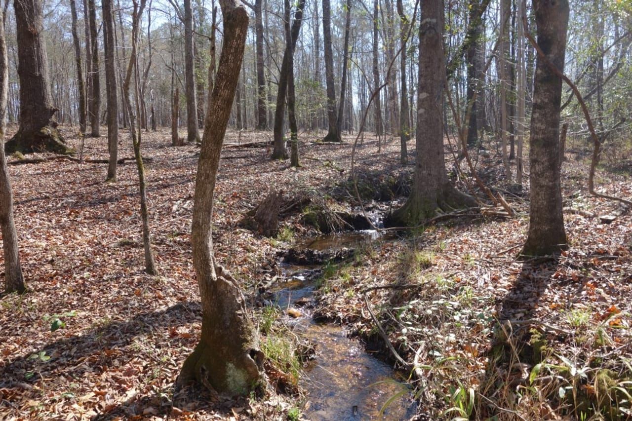 1056 Mickle Lane, Ridgeway, SC 29130 | Land.com