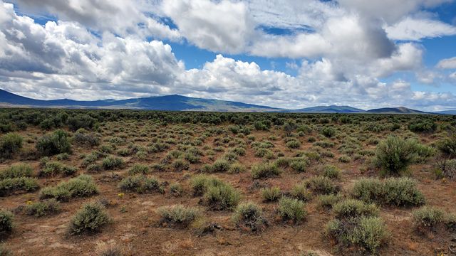 280 acres in Lassen County, California