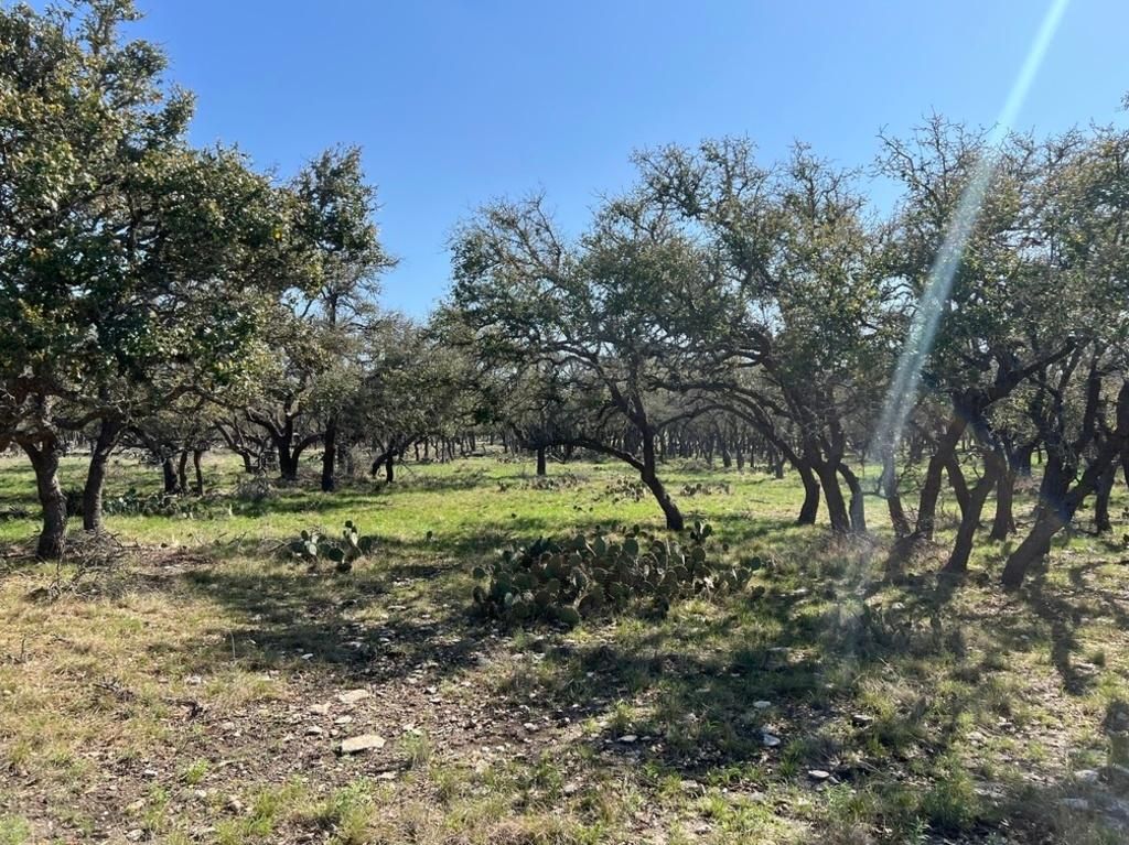 11.3 acres in Harper, TX, 78631 | MLS: Exotics/Amazing Oaks/Great Texas ...
