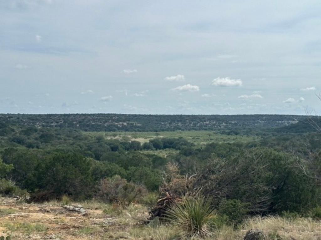111.24 acres in Ozona, TX, 76943 | MLS: Exotics/Amazing Oaks/Great ...