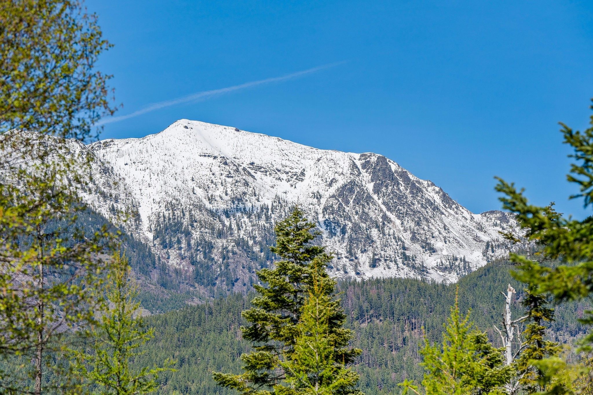 13.25 acres in Lake County, Montana