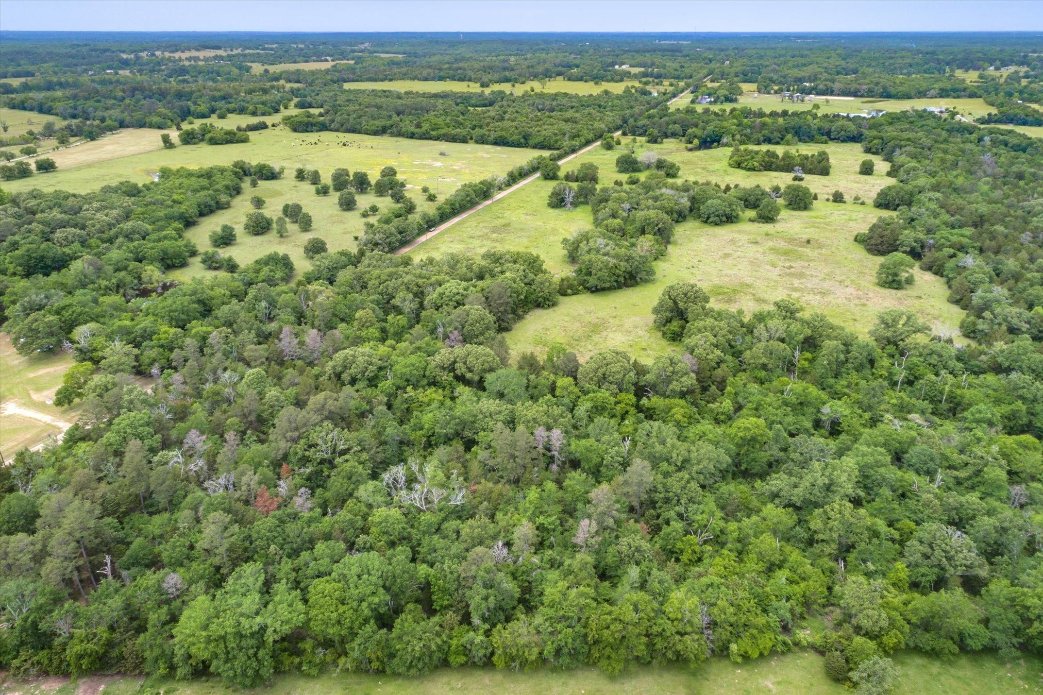 TBD VZ CR 4714, Ben Wheeler, TX 75754 | MLS: 20418179 | Land.com