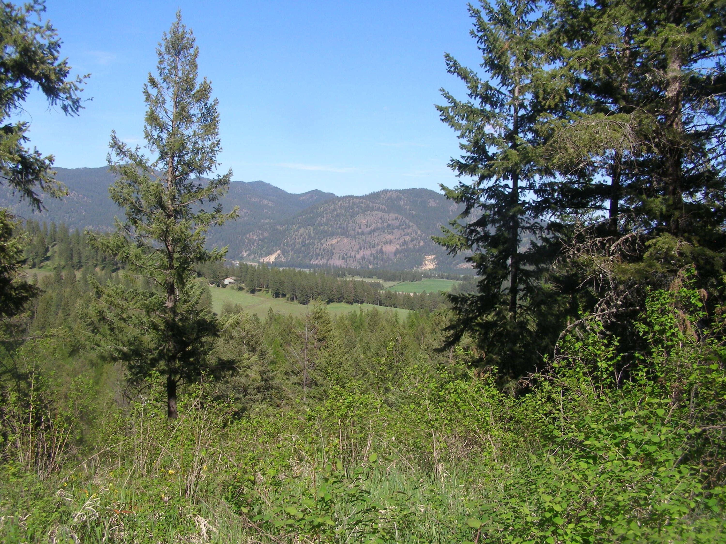20 acres in Stevens County, Washington