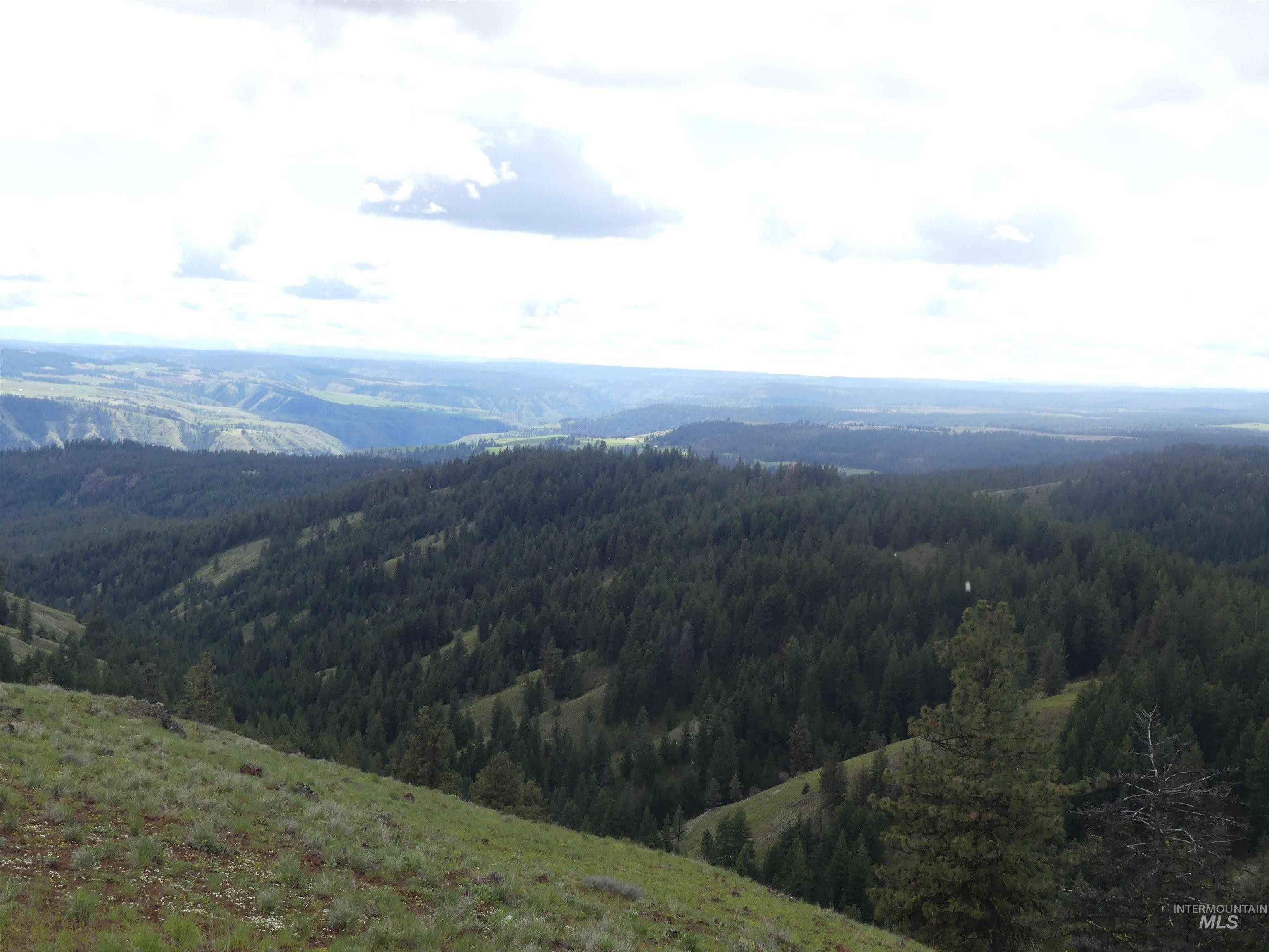 002 Hansen Ridge Road, Anatone, WA 99401 | MLS: 98910831 | Land.com