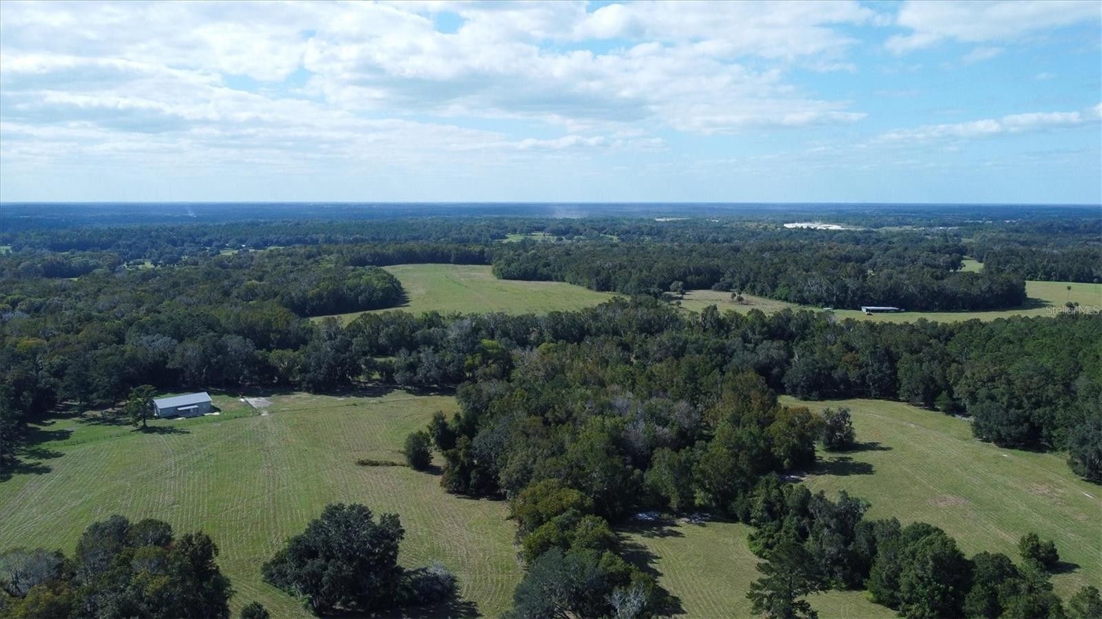 150 acres in Marion County, Florida