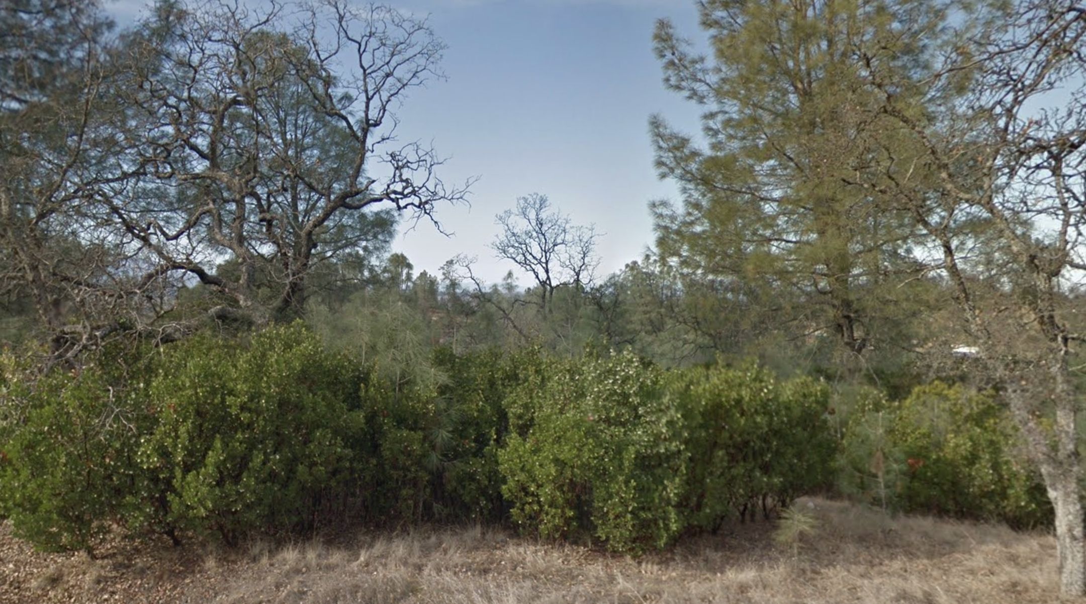 15690 Oakridge Rd, Corning, CA 96021 | Land.com