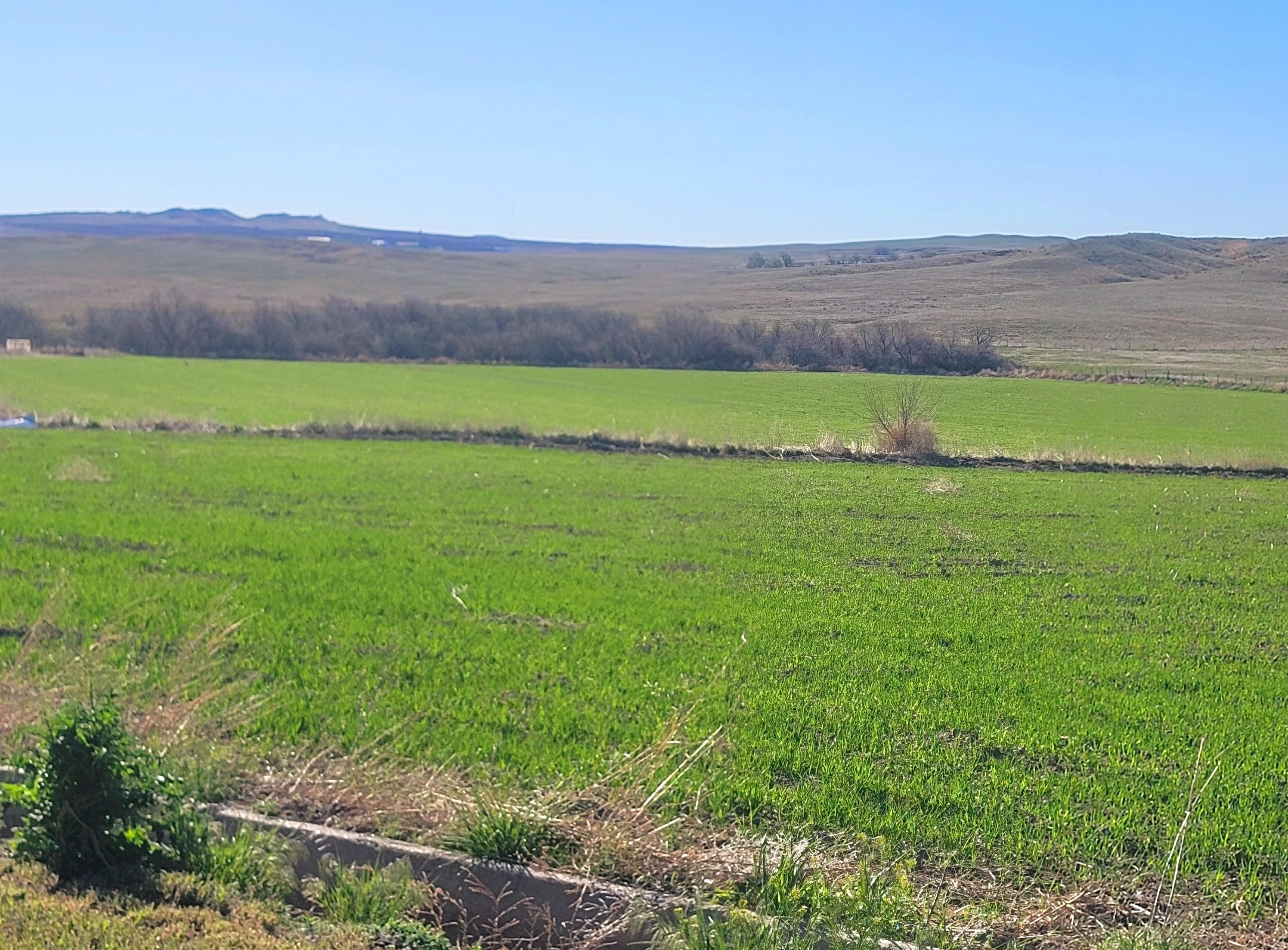 234 Swedell Road, Mitchell, NE 69357 | Land.com