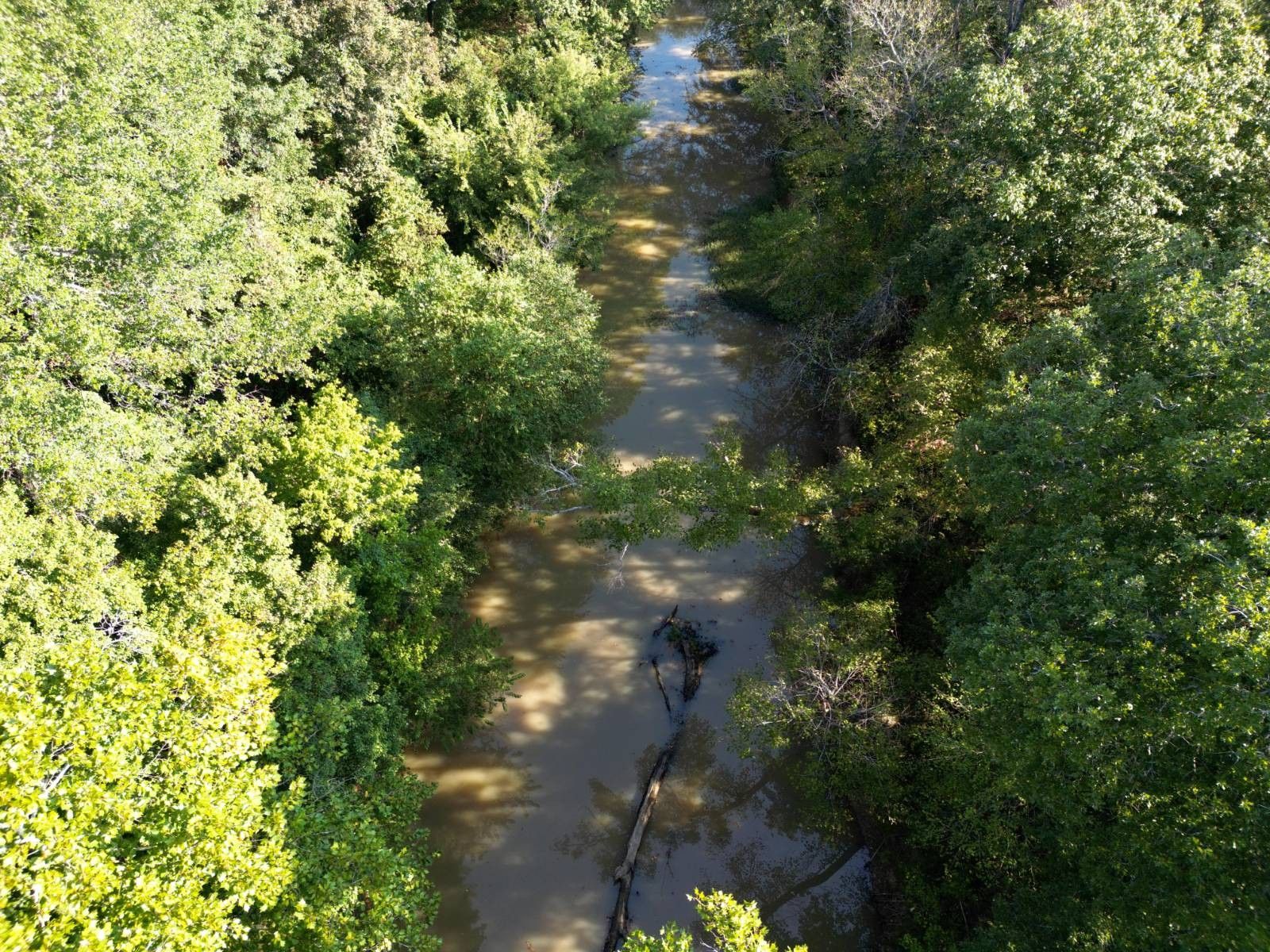 486E 485B 485A Autumn Trail, Daisy, OK 74540 | MLS: 11280532 | Land.com