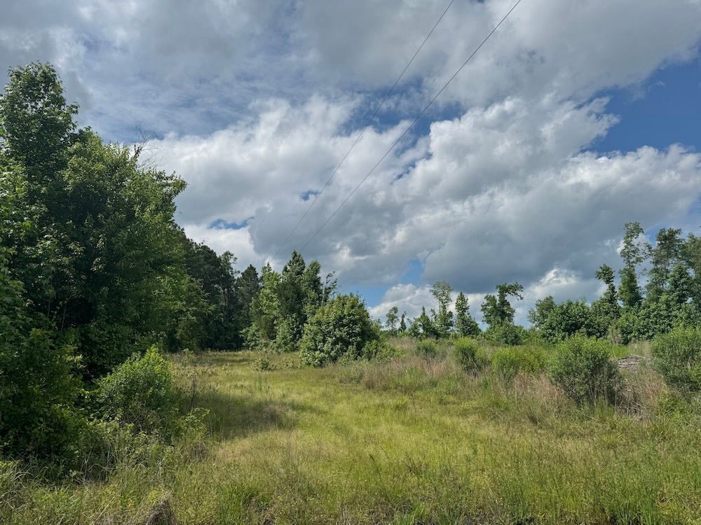 Kidd Drive Lot # Wp001, Homer, LA 71040 | Land.com