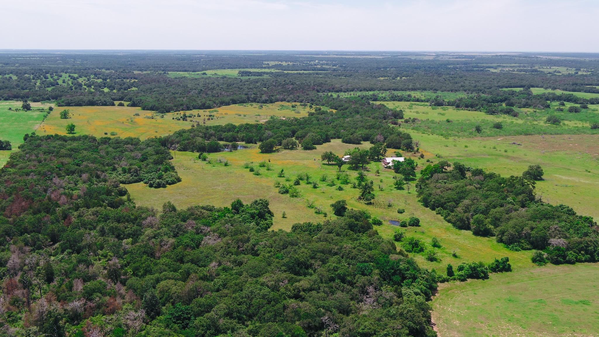 1203 County Road 345, Rockdale, TX 76567 | Land.com