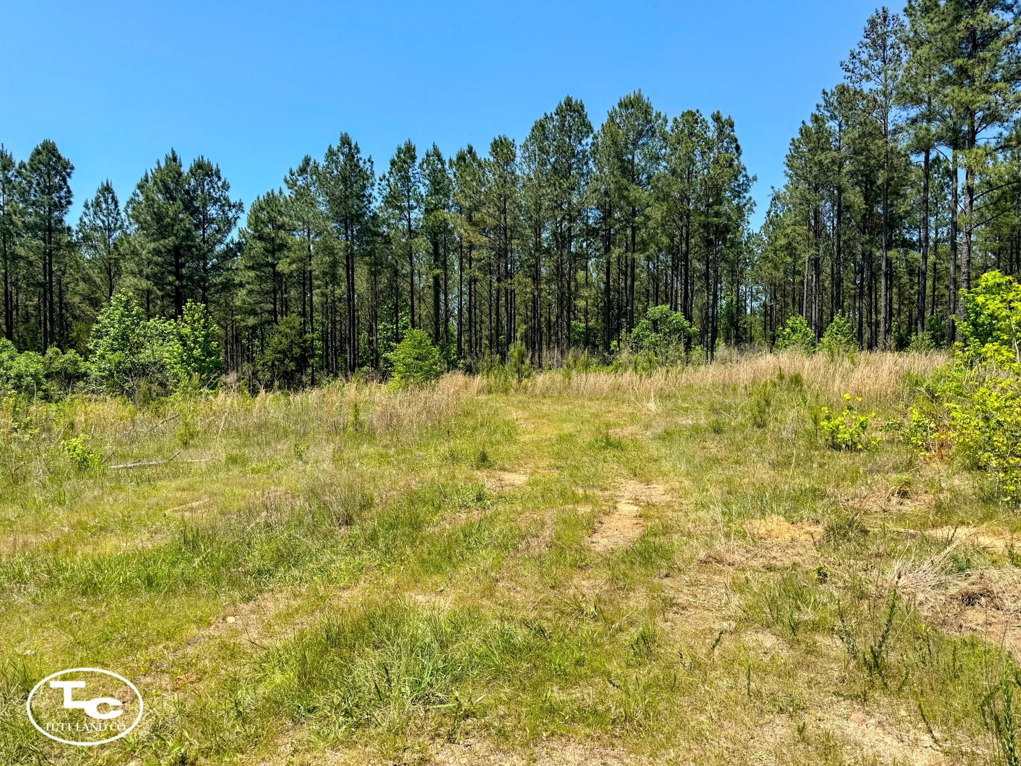 141.5 acres in Talbotton, GA, 31827 | Land.com