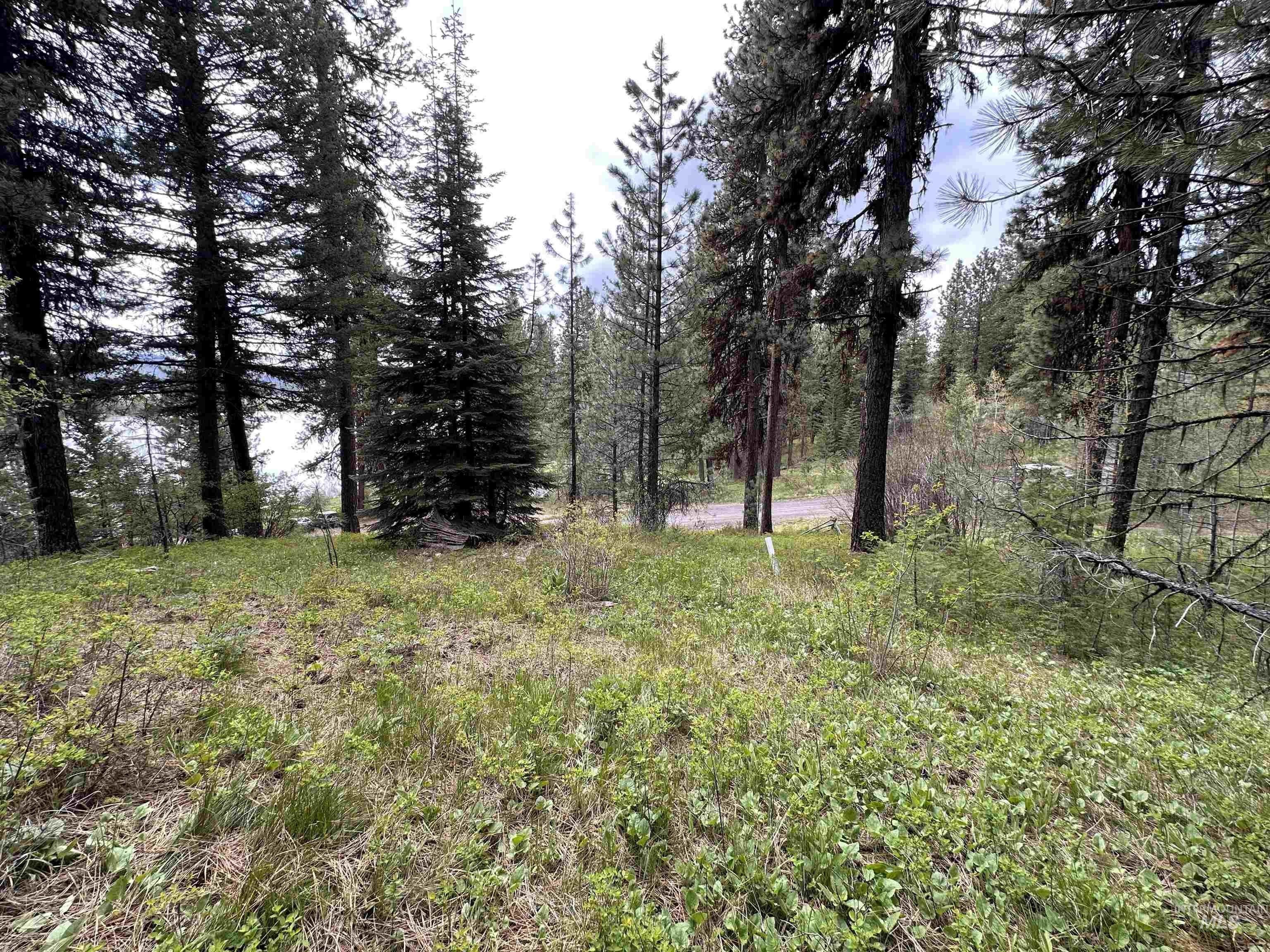 Lot 1 Wilderness Ranch, High Valley, ID 83611 | MLS: 98911765 | Land.com
