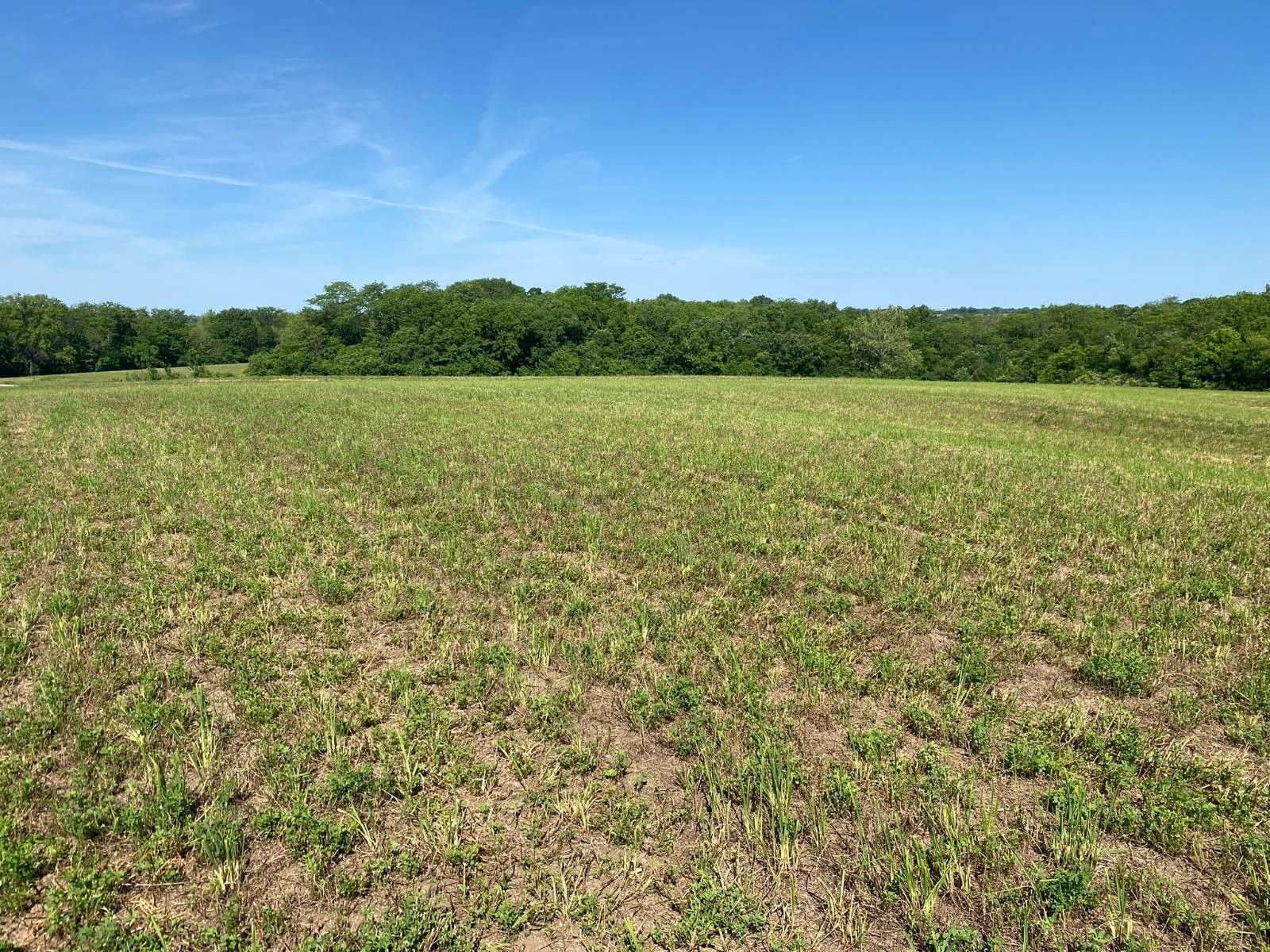 TBD Plot #3/216th Street, Union Star, MO 64494 | MLS: 11240737 | Land.com