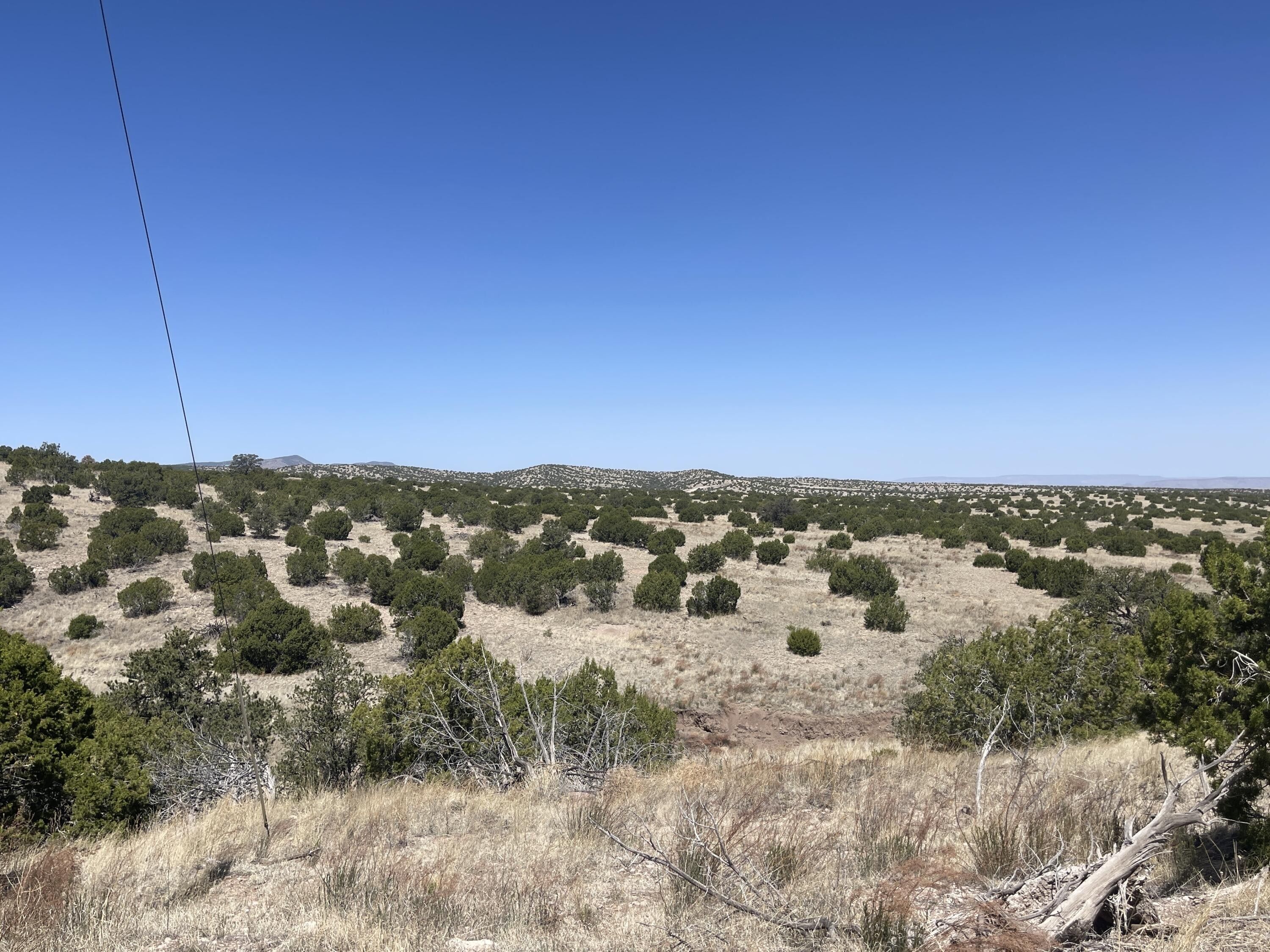 Lot 55 Pinon Springs Ranch, Magdalena, NM 87825 | MLS: 1064045 | Land.com