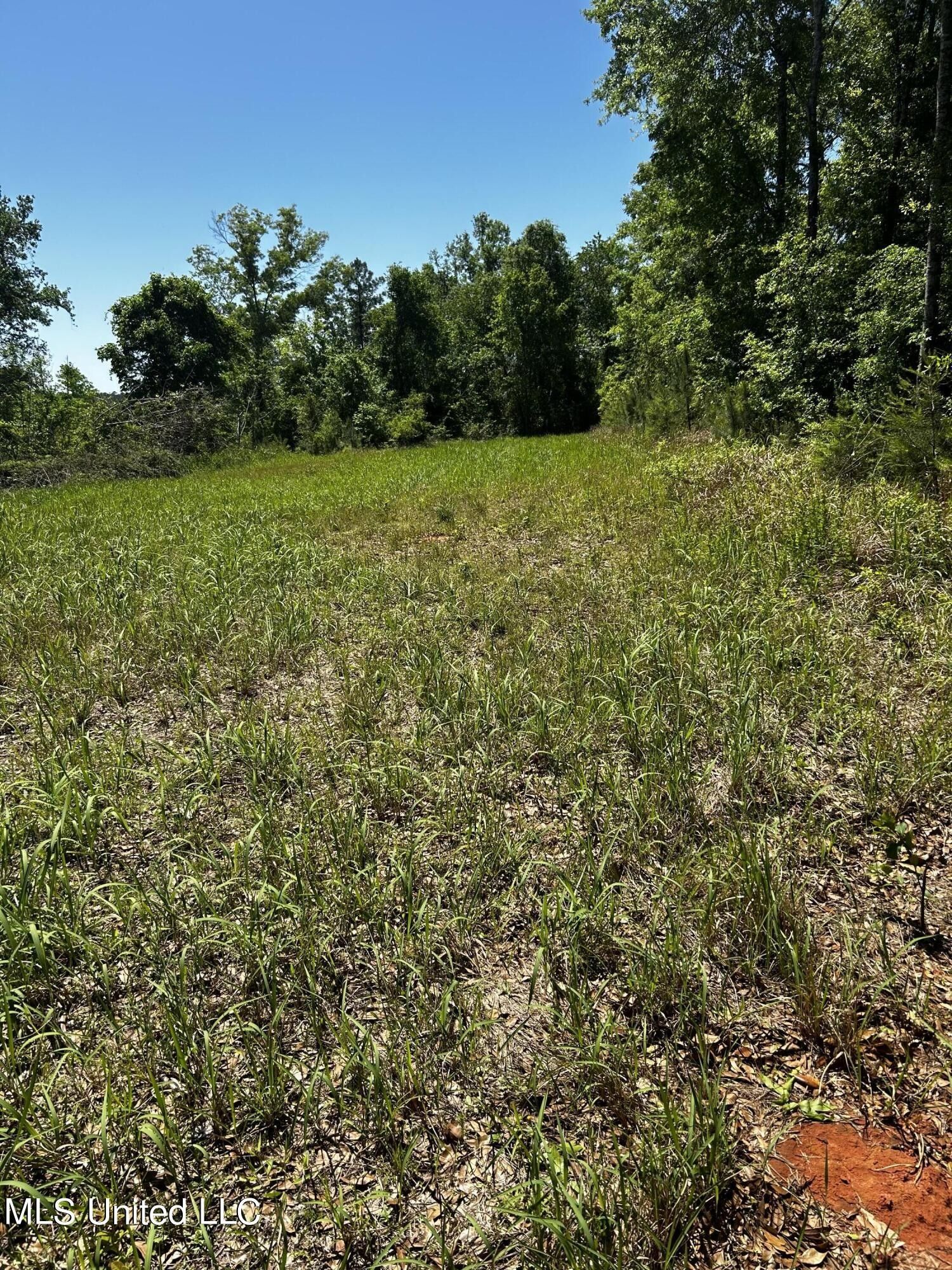 98.5 Acres Crossroads Merrill Rd., Lucedale, MS 39452 | MLS: 4061980 ...