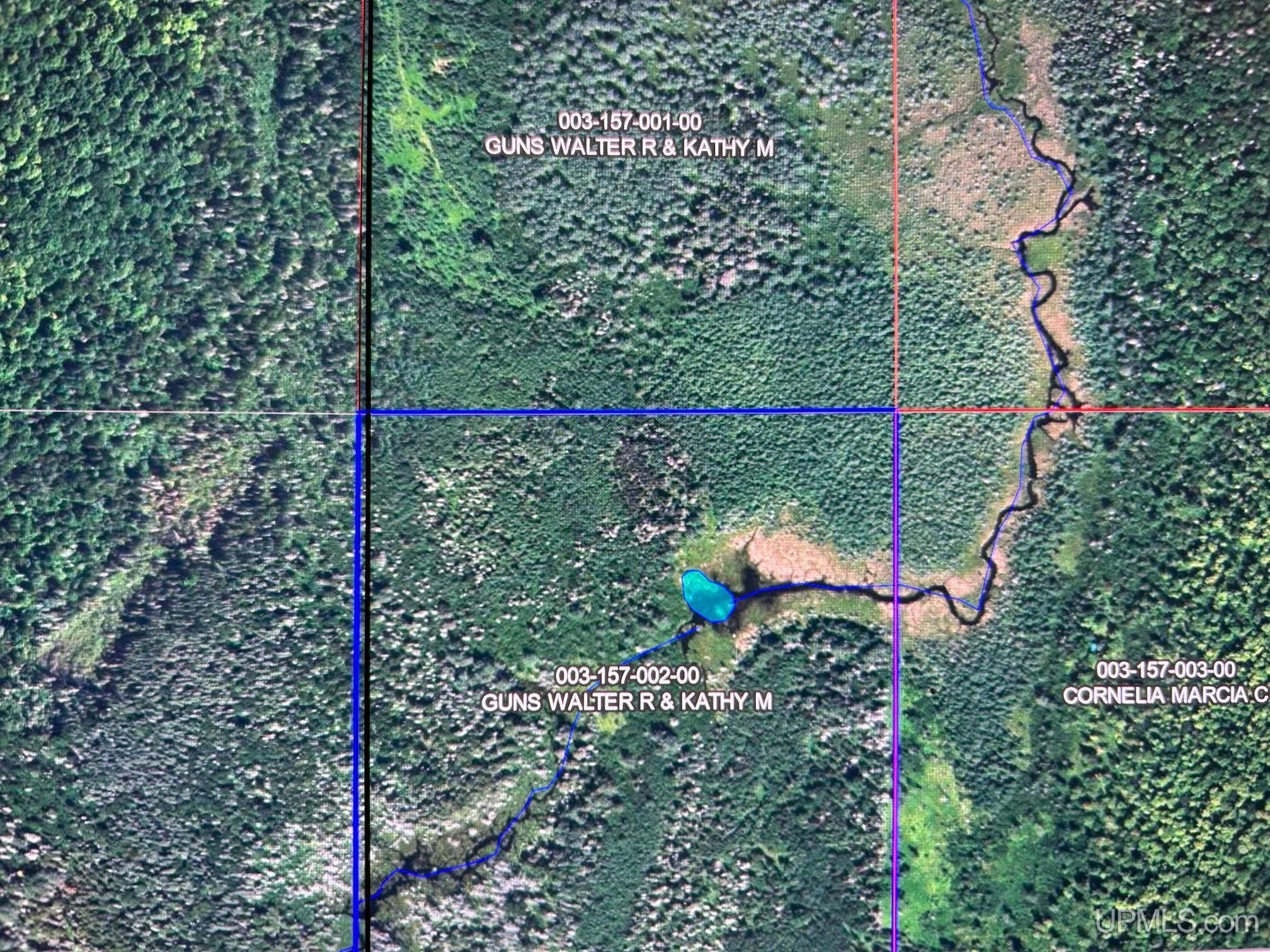 TBD Net River, Iron River, MI 49935 | MLS: 50143855 | Land.com